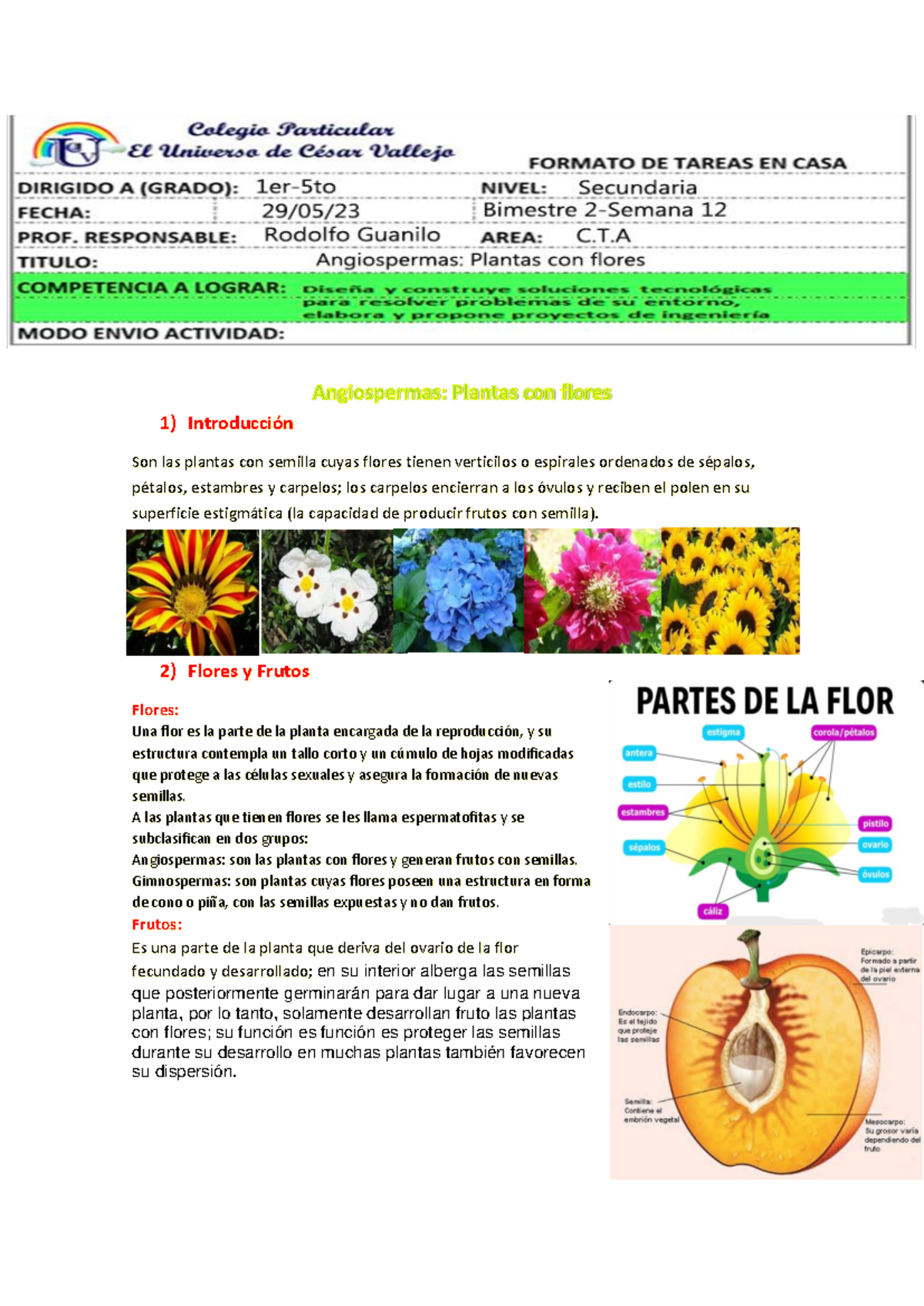 Angiospermas - Matth - 1) Introducción Son las plantas con semilla ...