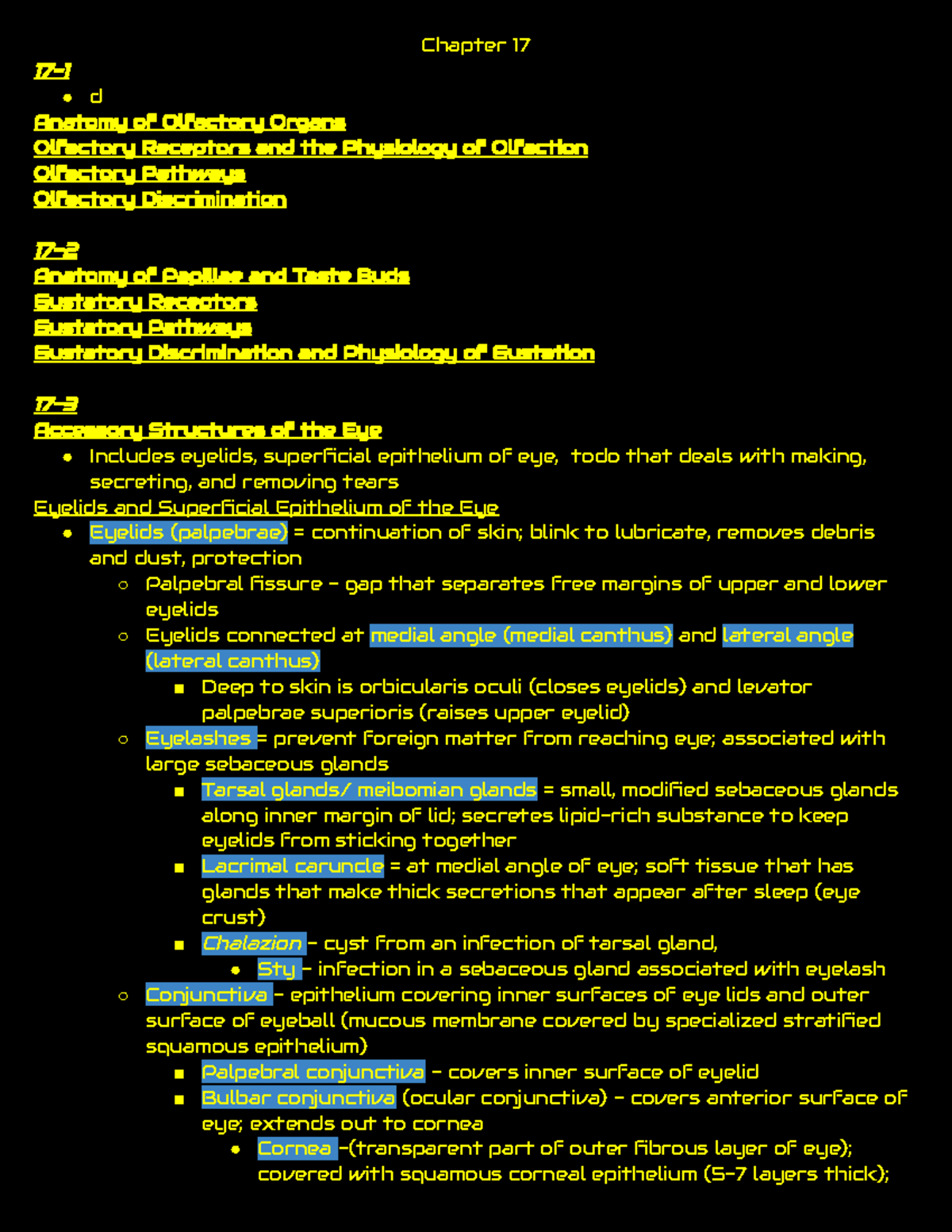 Chapter 17 - with Ramirez - Fundamentals of Anatomy & Physiology ...