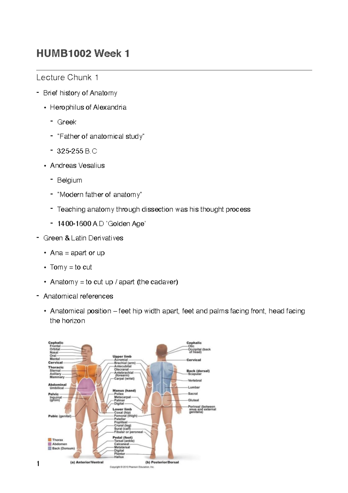 HUMB1002 W1 - Lecture notes 1 - HUMB1002 Week 1 Lecture Chunk 1 - Brief ...