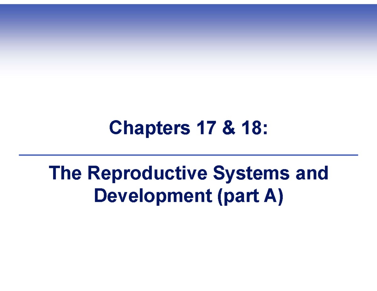 Chapter 17 AND 18 Reproductive System AND Development PART A - Chapters ...