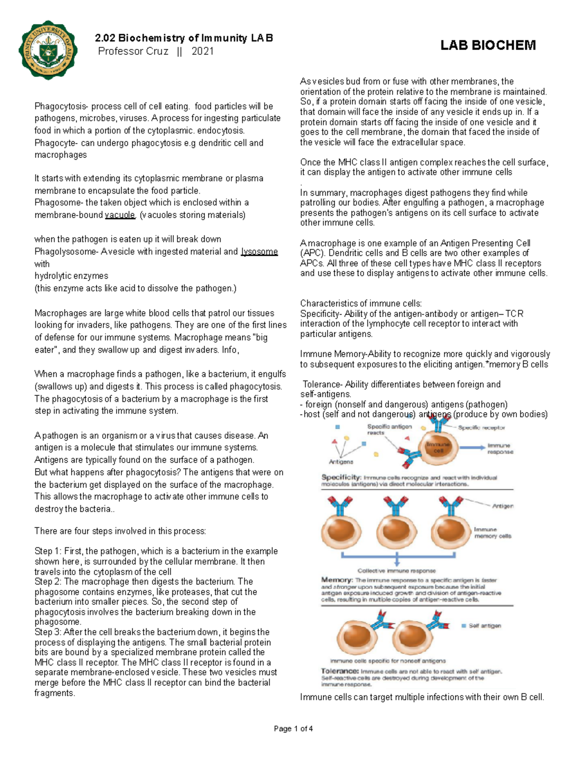 Trans Biochem-OF- Immunity-LAB - 2 Biochemistry of Immunity LAB LAB ...