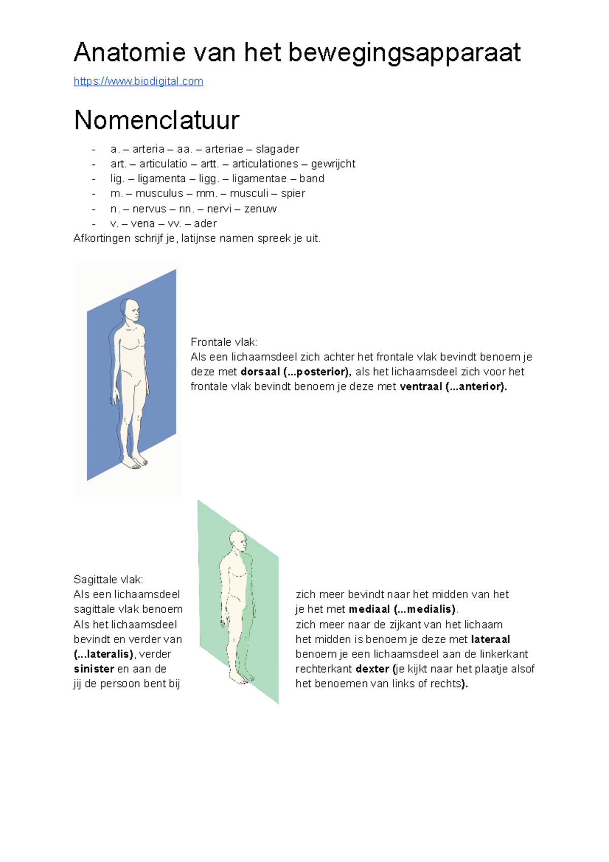 Anatomie laatste versie rommert blok 1 - Anatomie van het ...