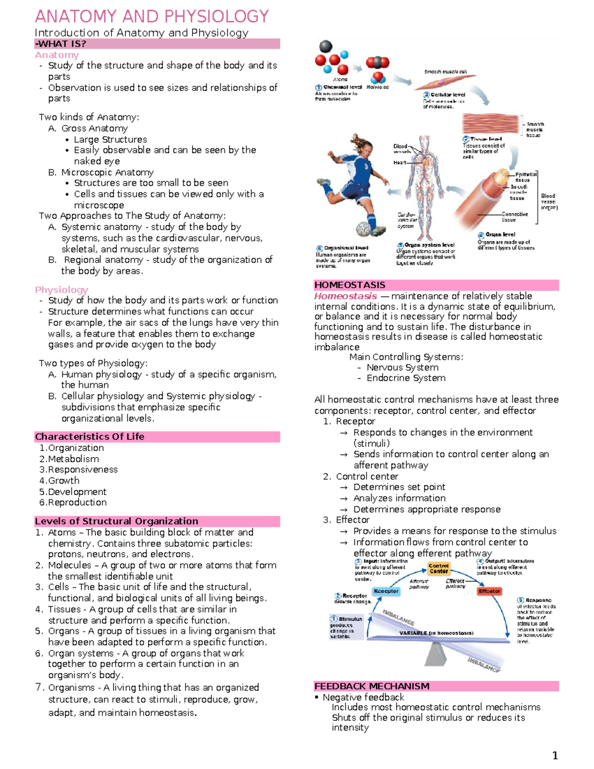 E1 - ANAPHY - ANATOMY AND PHYSIOLOGY Introduction of Anatomy and ...