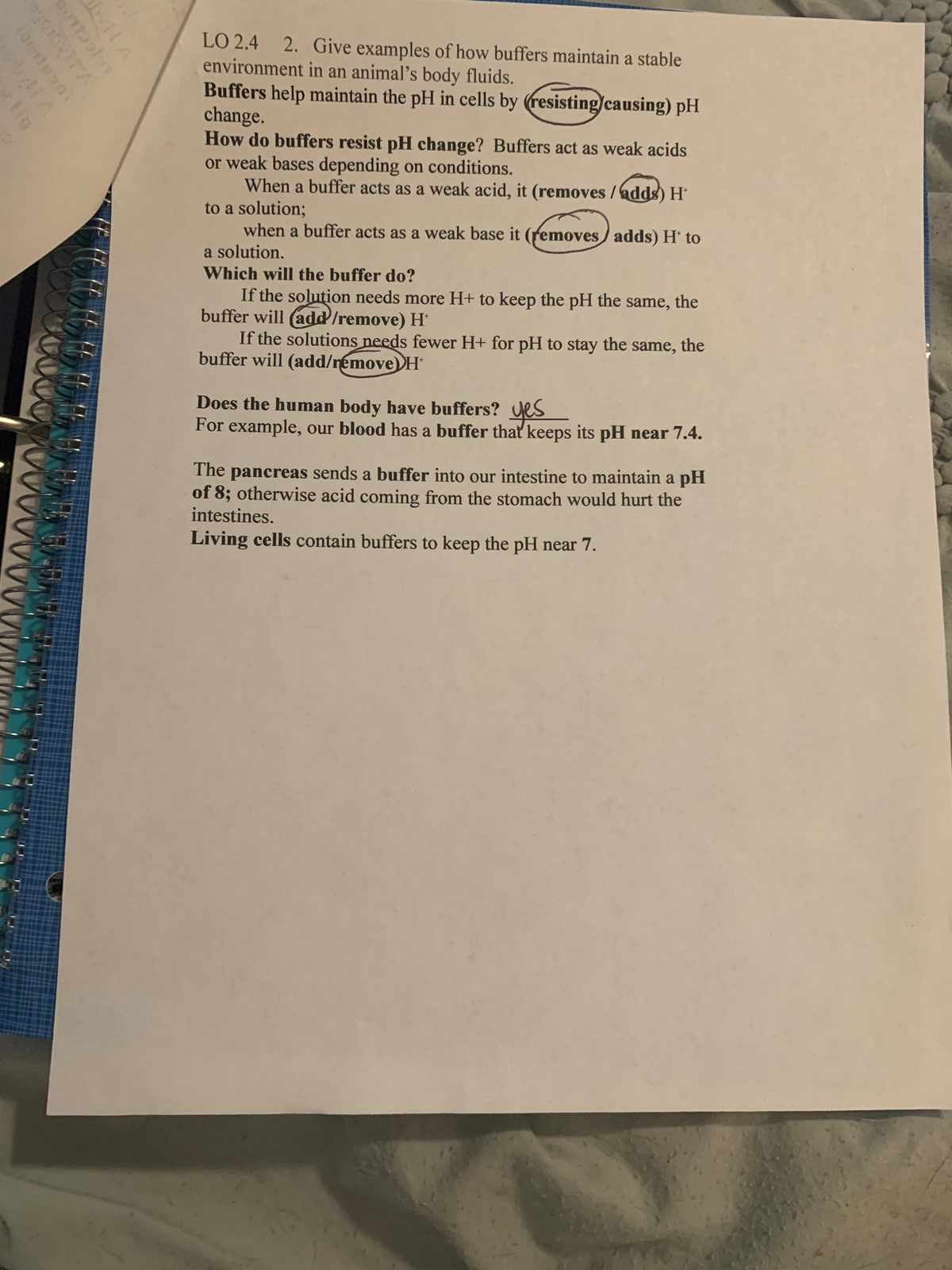 Ch2st2 - Chapter Study guide - BIOL 1033 - Studocu
