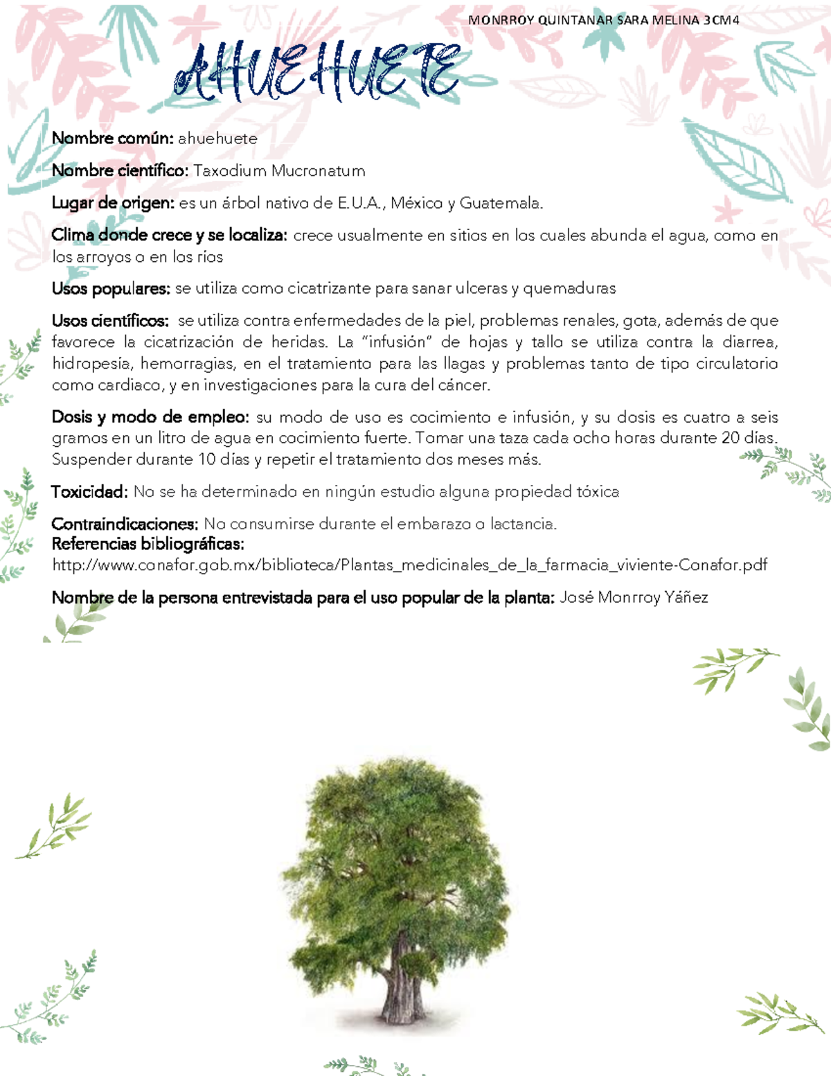 Actividad 3. Plantas Medicinales - MONRROY QUINTANAR SARA MELINA 3CM ...