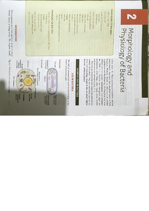 Prjct simi 123[55] - Significance of CA19/9 and serum bilirubin in ...