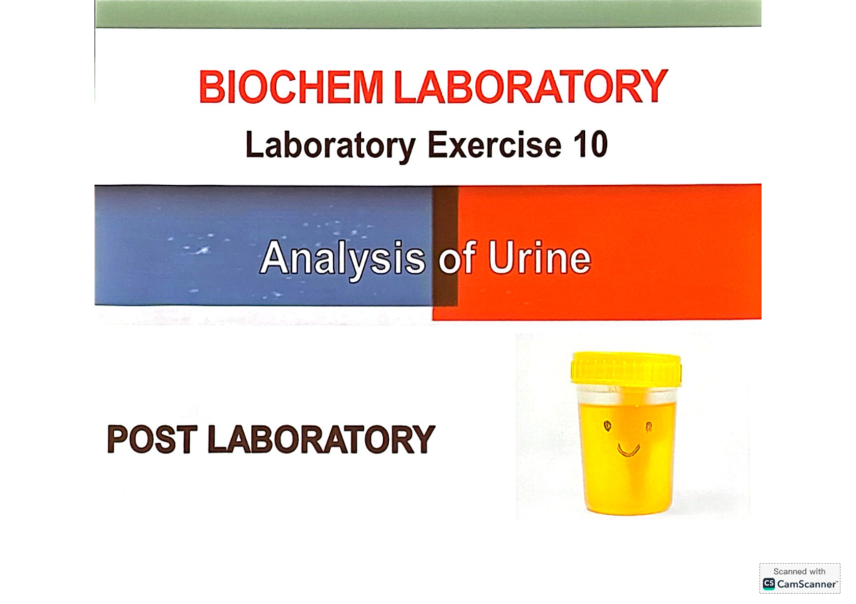 Urine- Biochemlab - go na - BIOCHEM LABORATORY Laboratory Exercise 10 ...