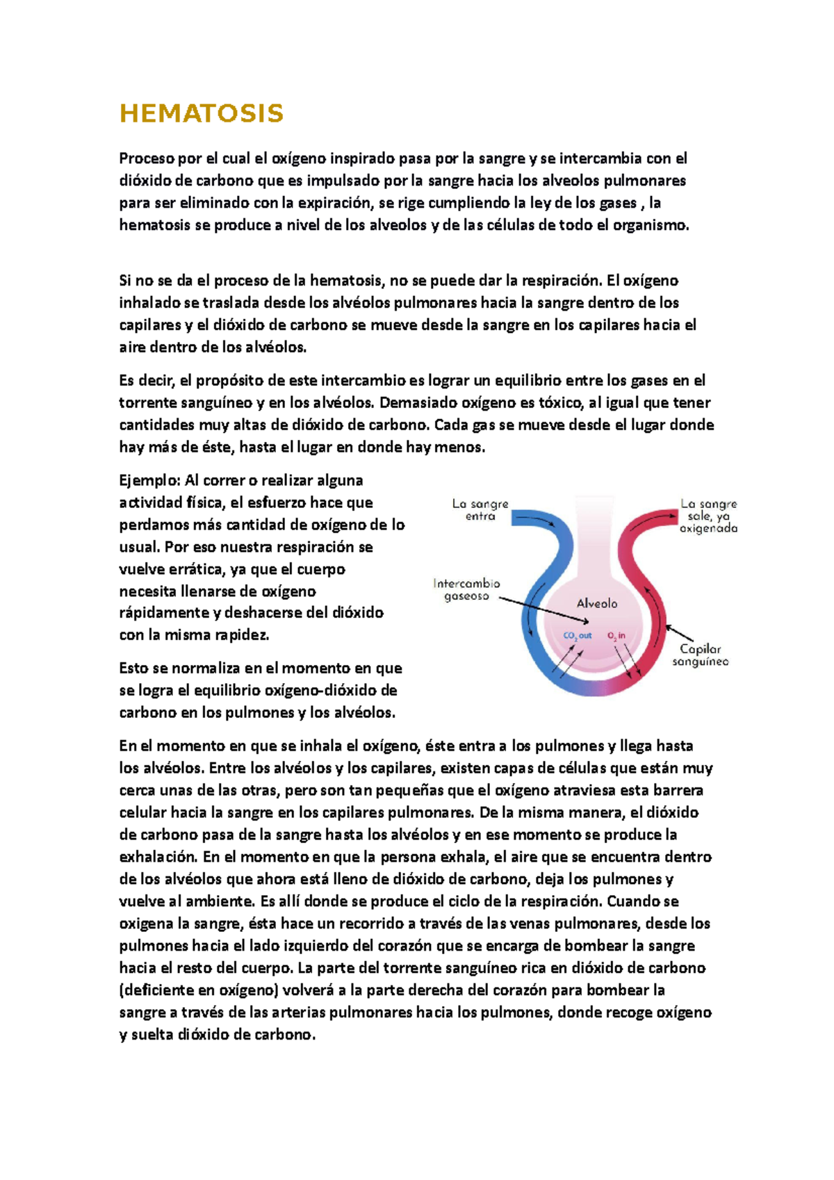 Hematosis - uujhh - HEMATOSIS Proceso por el cual el oxígeno inspirado pasa por la sangre y se ...