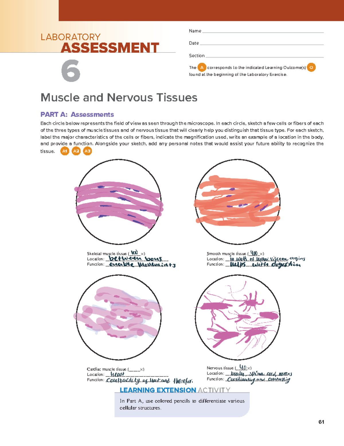 Ex 6 Lab Results 220909 233633 - 61 Name _____________________________________________ Date ...