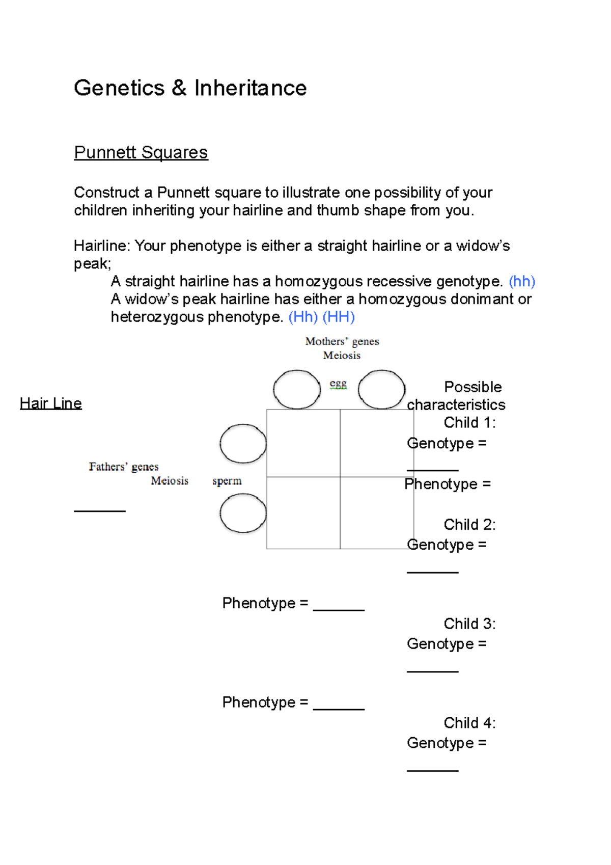 Genetics - Hairline: Your phenotype is either a straight hairline or a ...