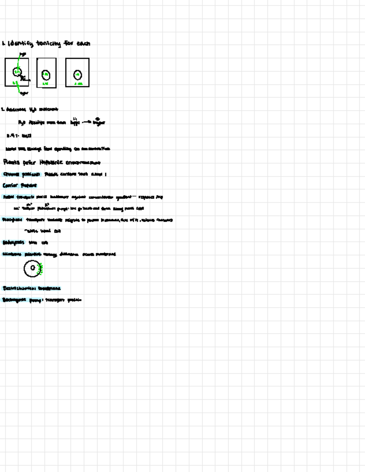 BIO-4A 7 - PROFESSOR MACIAS. Lecture notes covering chapter 7 ...