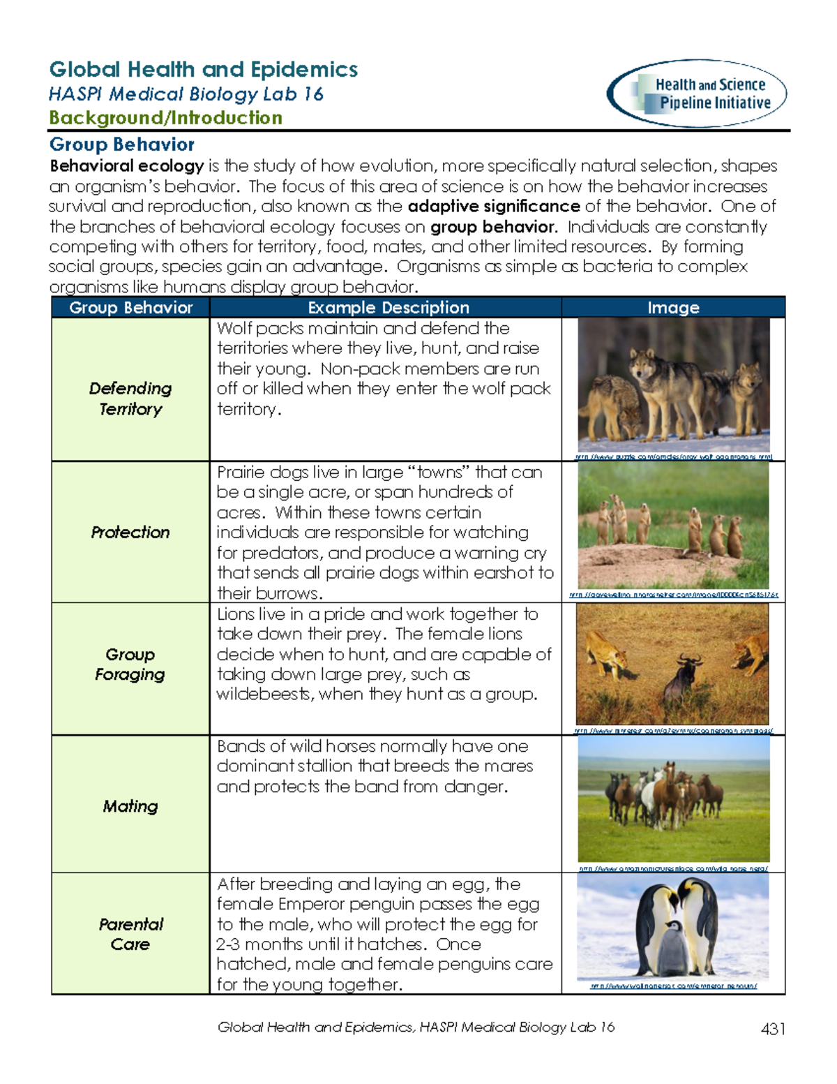 Global Health and Epidemics Lab Activity - Global Health and Epidemics ...