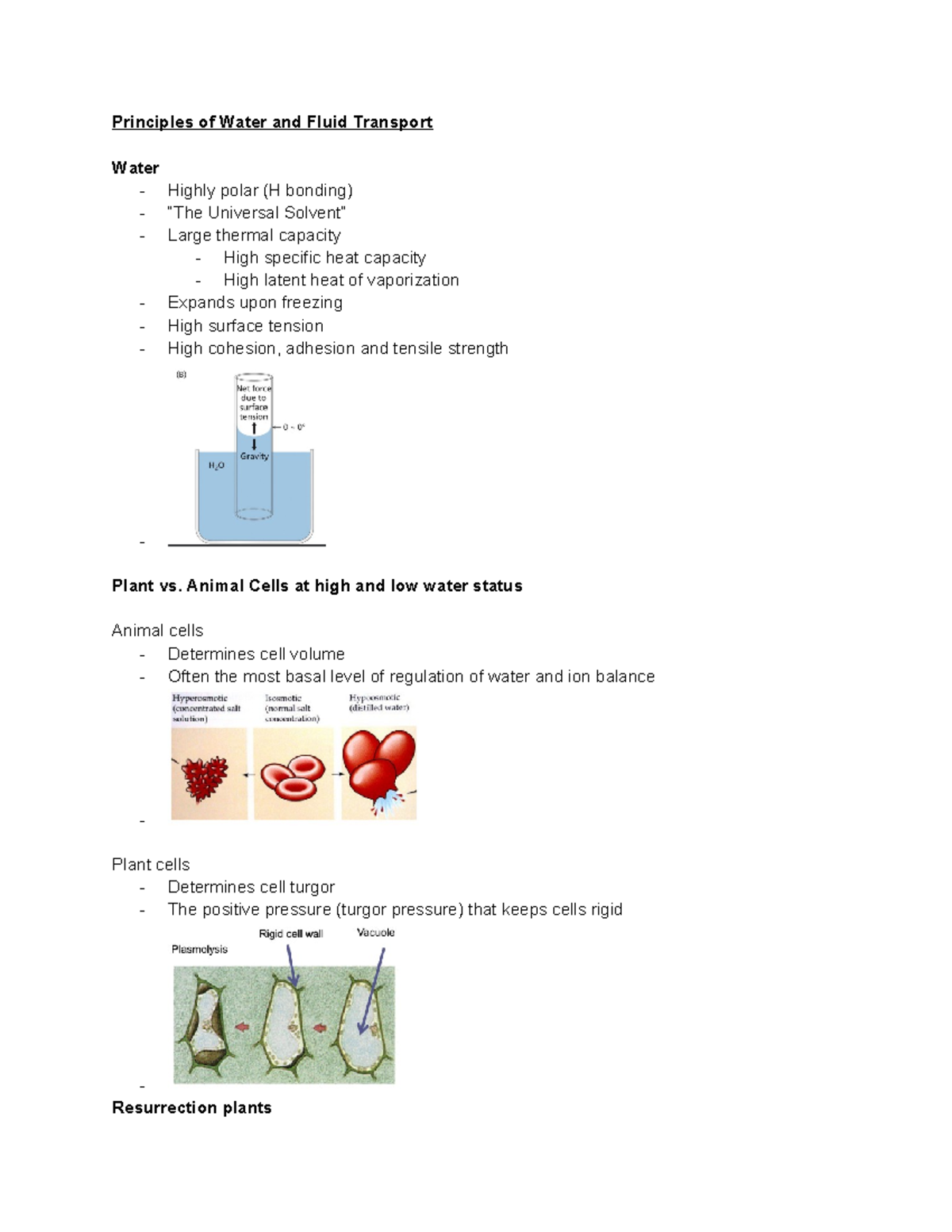 Physiology Final - Principles of Water and Fluid Transport Water ...