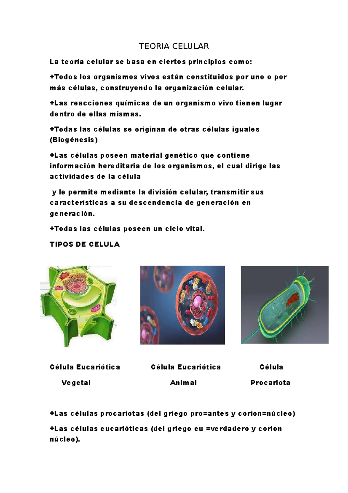 Teoria Celular - interesante - TEORIA CELULAR La teoría celular se basa en ciertos principios ...