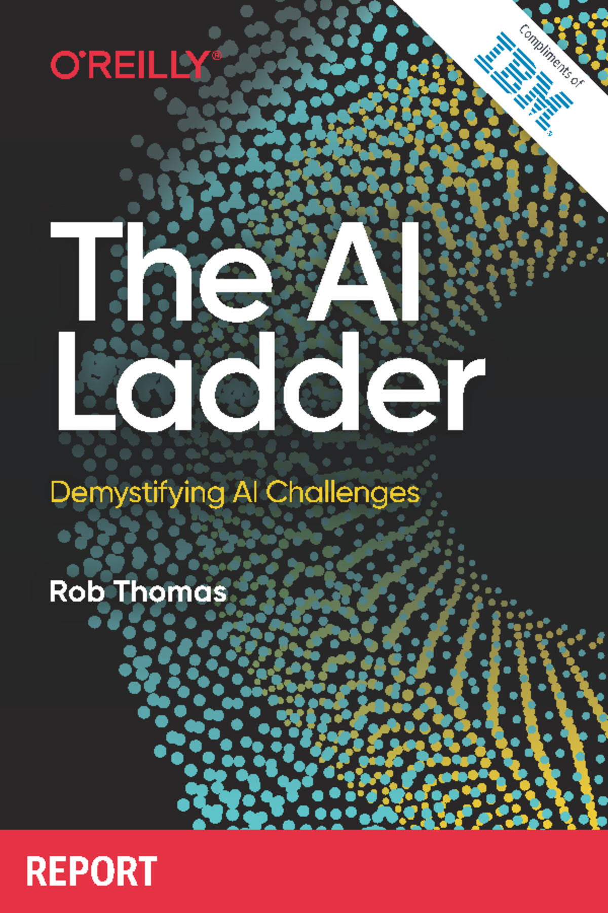 The AI Ladder - Artificial Intelligence - 978-1-492-07310- [LSI] The AI ...