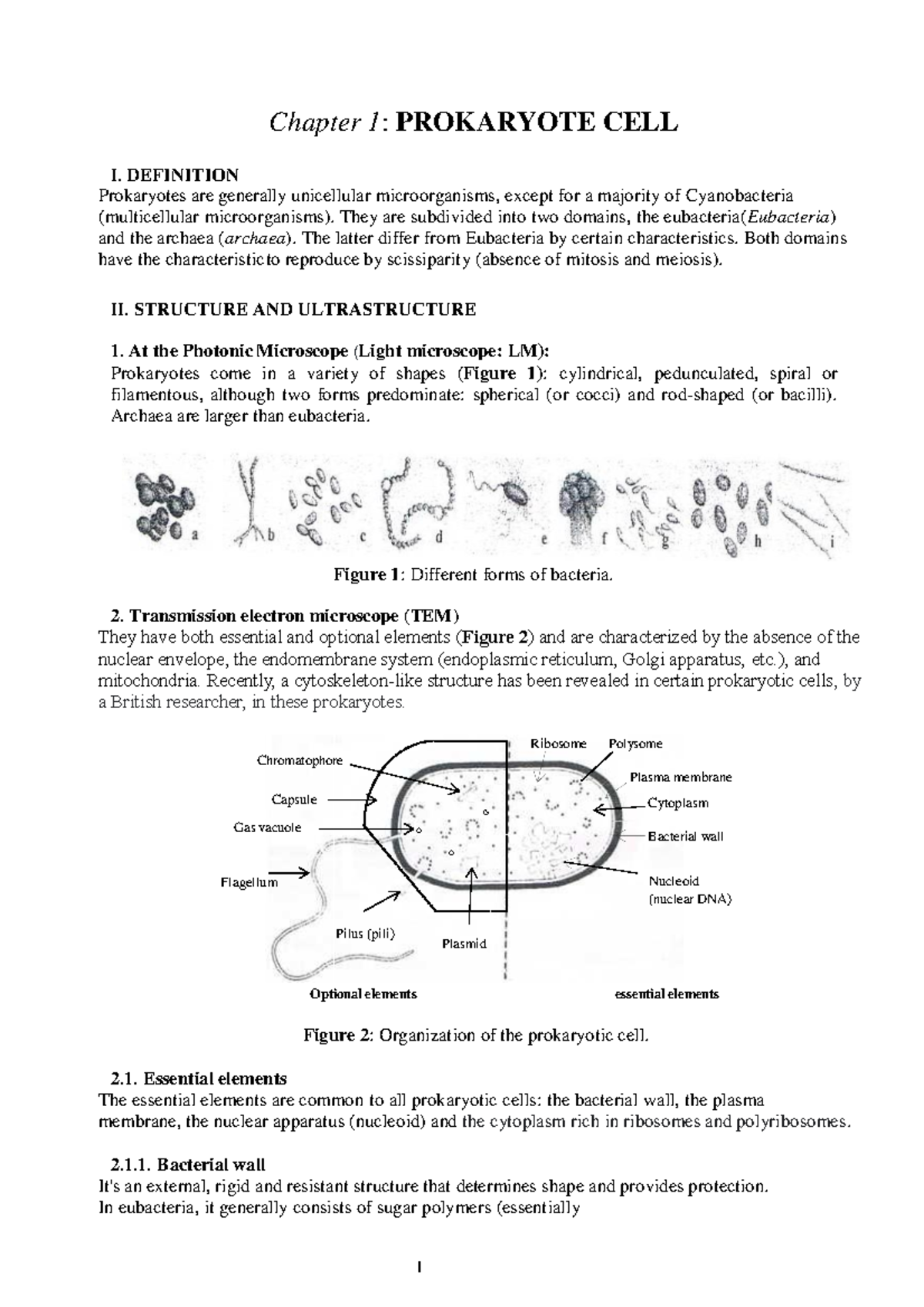 Chapitre 1 Cellule procaryote en US o 1 - c Figure 1 : Different forms ...