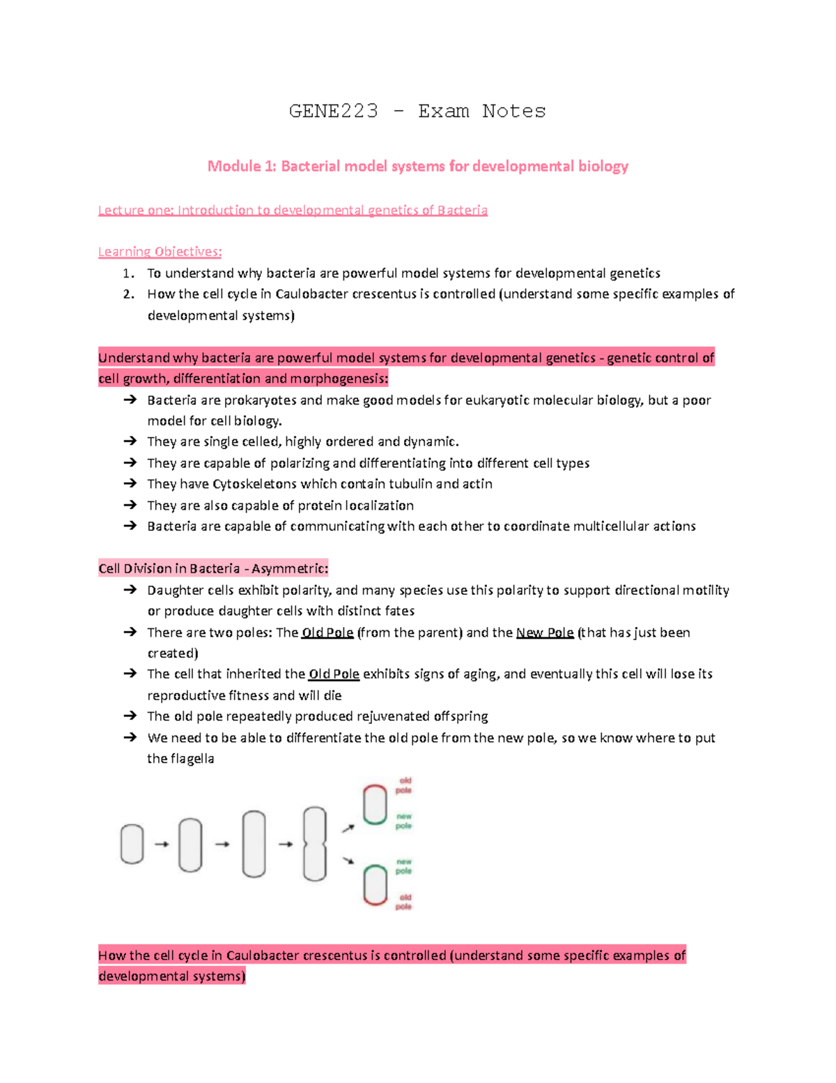 GENE223 - Exam Notes - GENE223 - Exam Notes Module 1: Bacterial model ...