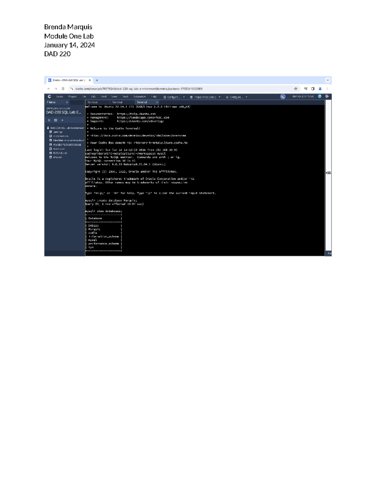 DADOne Lab - Mod one Lab - DAD-220 - Brenda Marquis Module One Lab January 14, 2024 DAD 220 ...