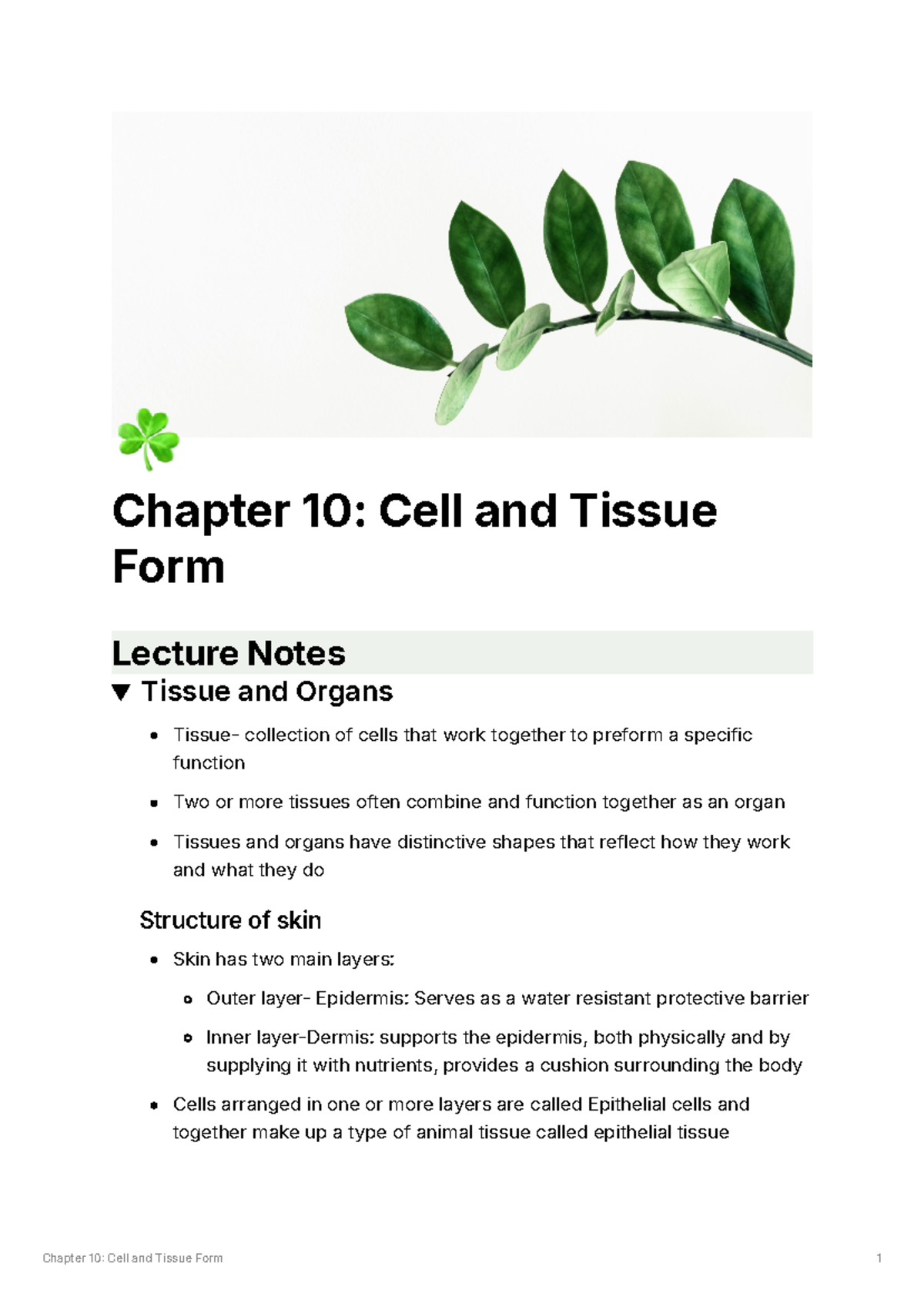 Chapter 10 Cell and Tissue Form - ☘ Chapter 10: Cell and Tissue Form ...