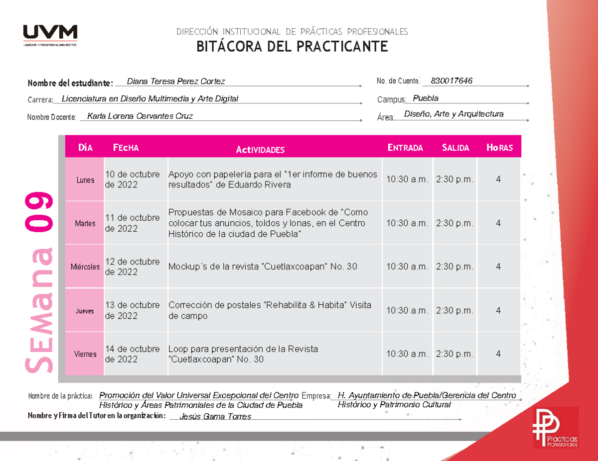 Bitacora S09 DTPC - S EM ana 09 DIRECCIÓN INSTITUCIONAL DE PRÁCTICAS ...