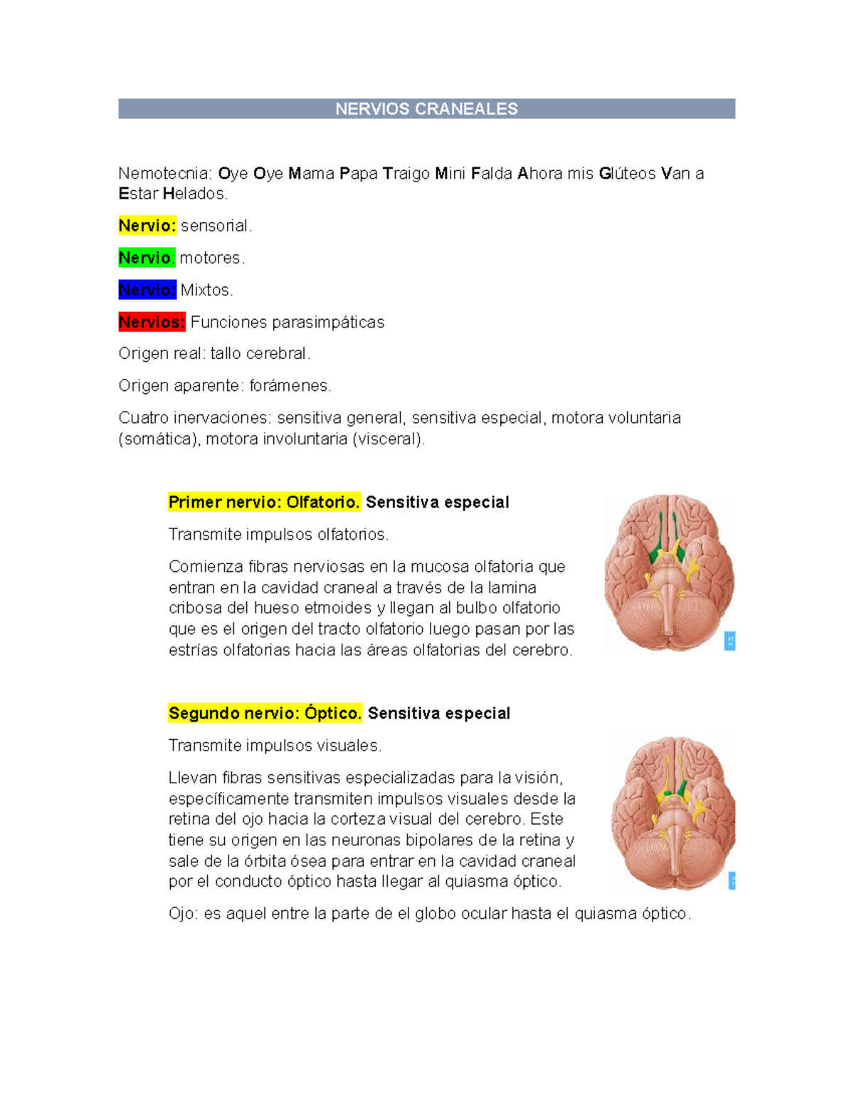 Nervios Craneales - mmmm - NERVIOS CRANEALES Nemotecnia: Oye Oye Mama ...