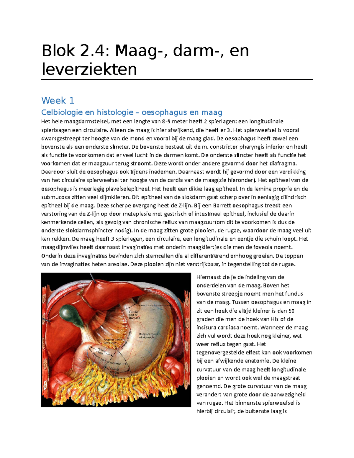 Samenvatting - compleet - Blok 2: Maag-, darm-, en leverziekten Week 1 ...