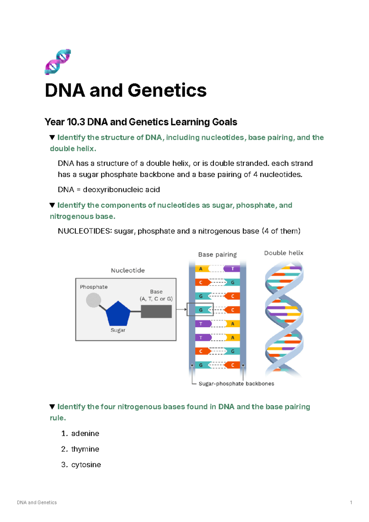7338ada4-e666-4e1f-8ec2-7e163f3e6d61 DNA and Genetics - 🧬 DNA and ...
