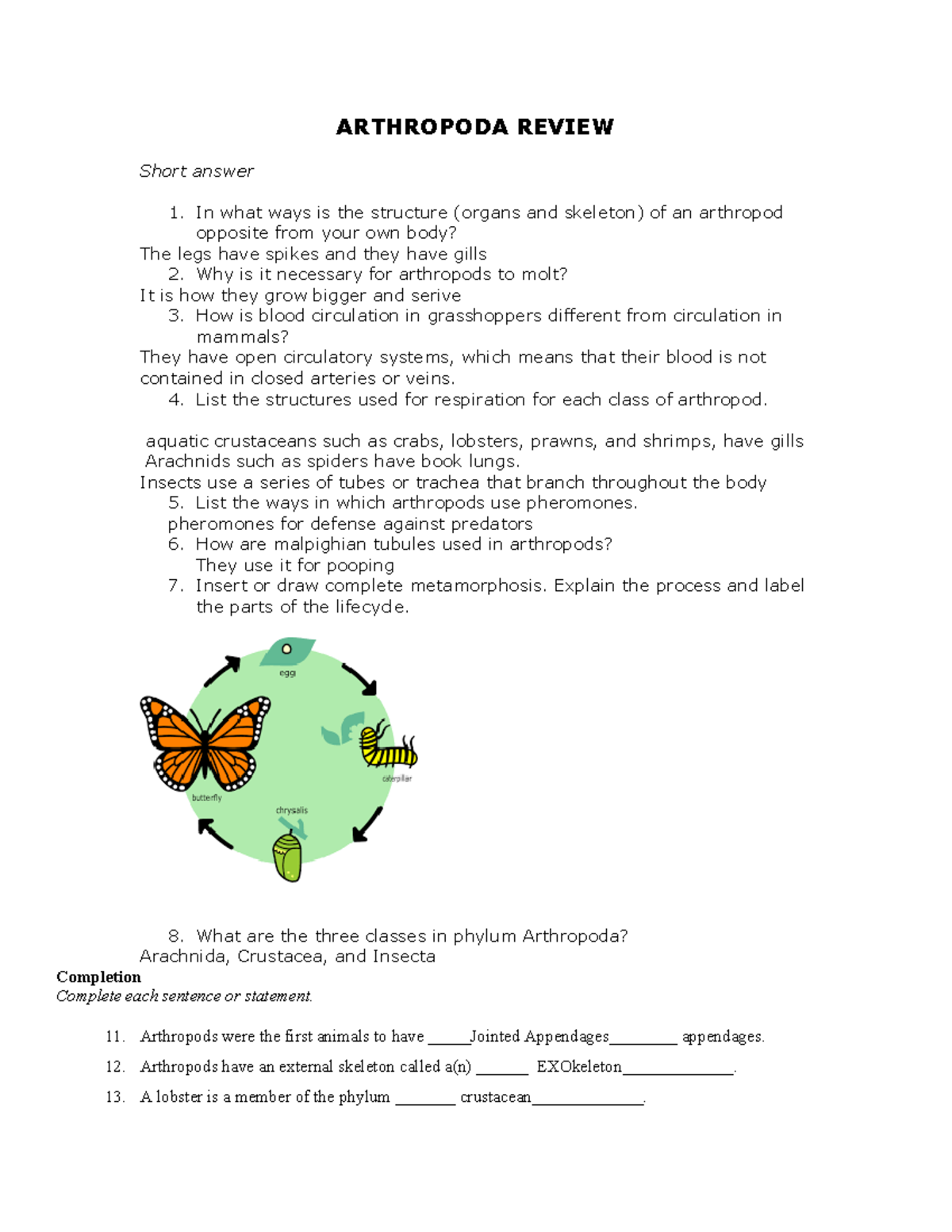 Arthropoda Review - okd - ARTHROPODA REVIEW Short answer 1. In what ...