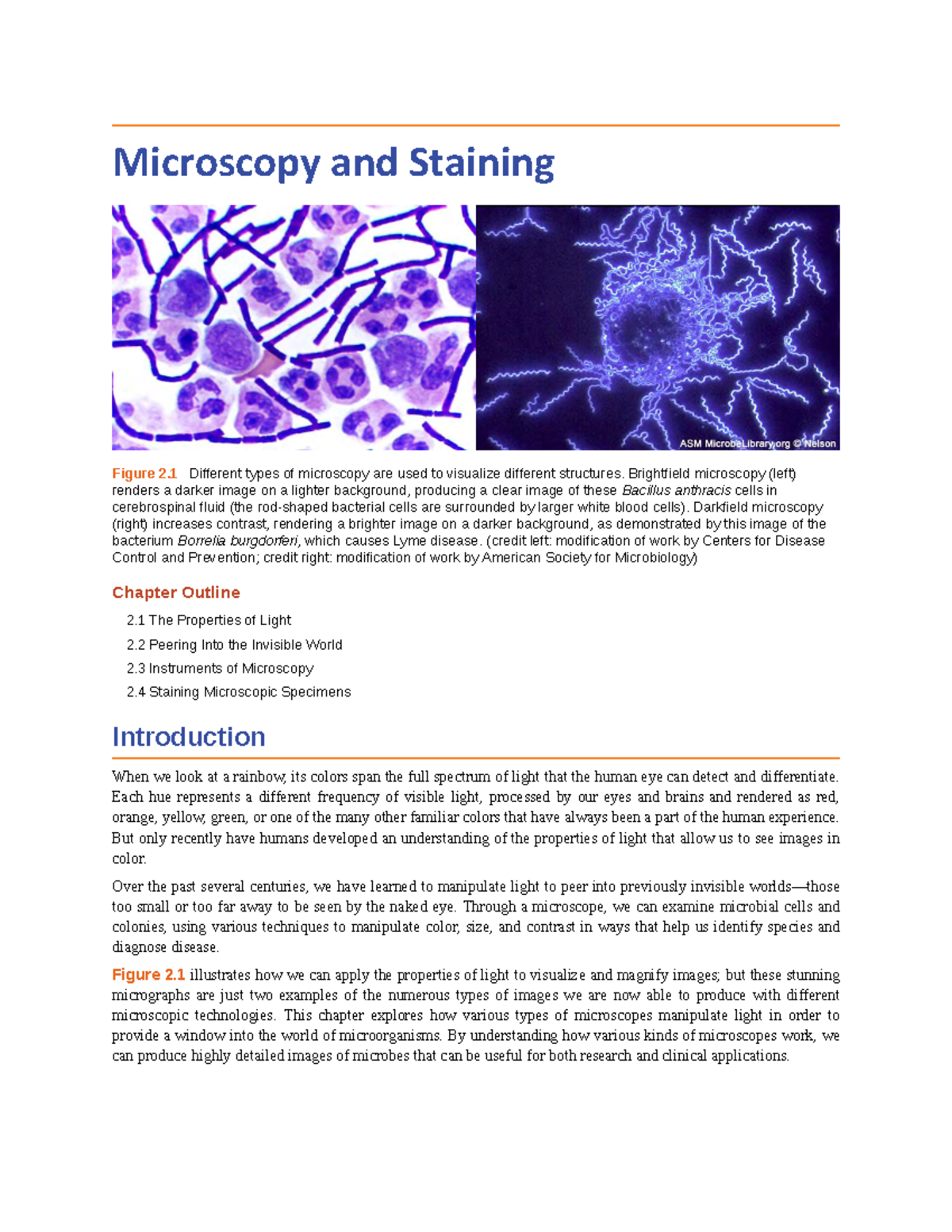 1-Microscopy and Staining - Microscopy and Staining Figure 2 Different ...
