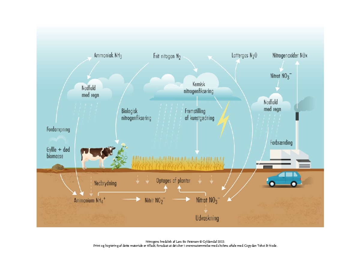 Nitrogens kredsløb - Fysik - Print og kopiering af dette materiale er ...