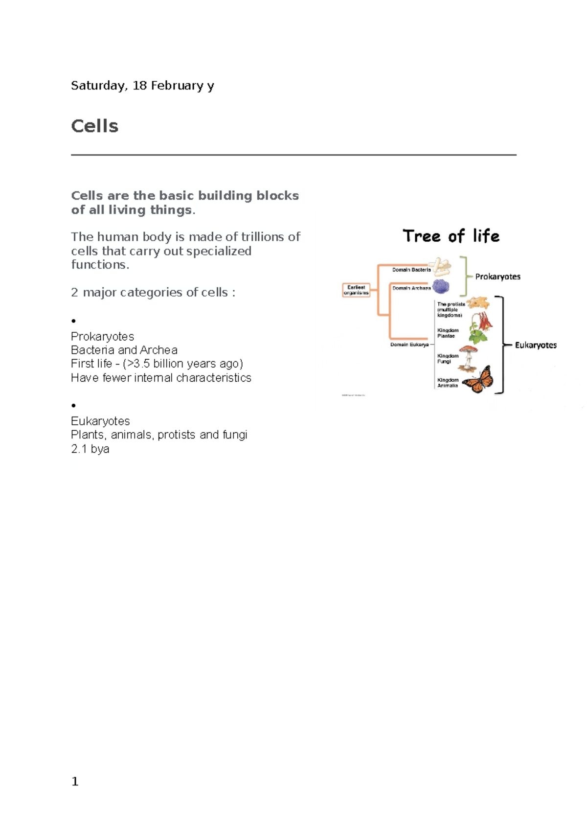Notes taken during lecture - Saturday, 18 February y Cells Cells are ...