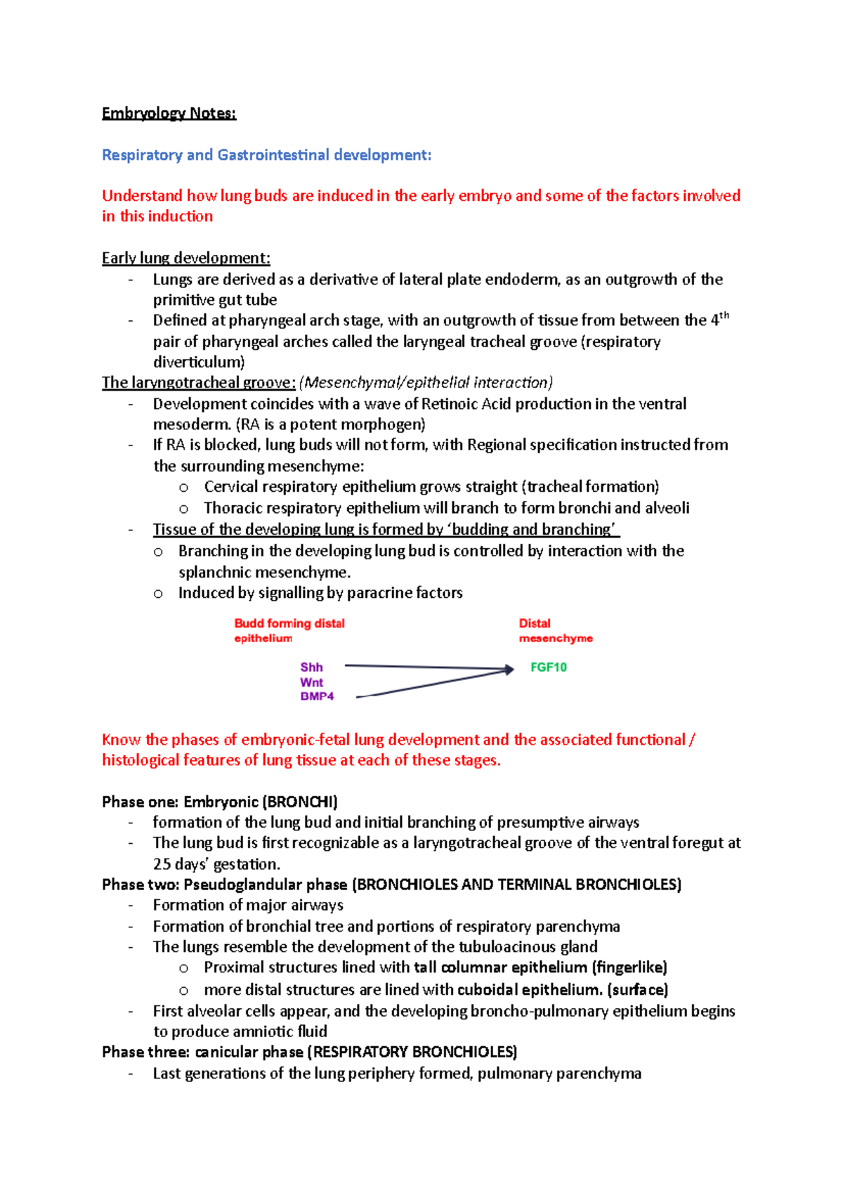 Embryology Notes - Embryology Notes: Respiratory and Gastrointestinal ...