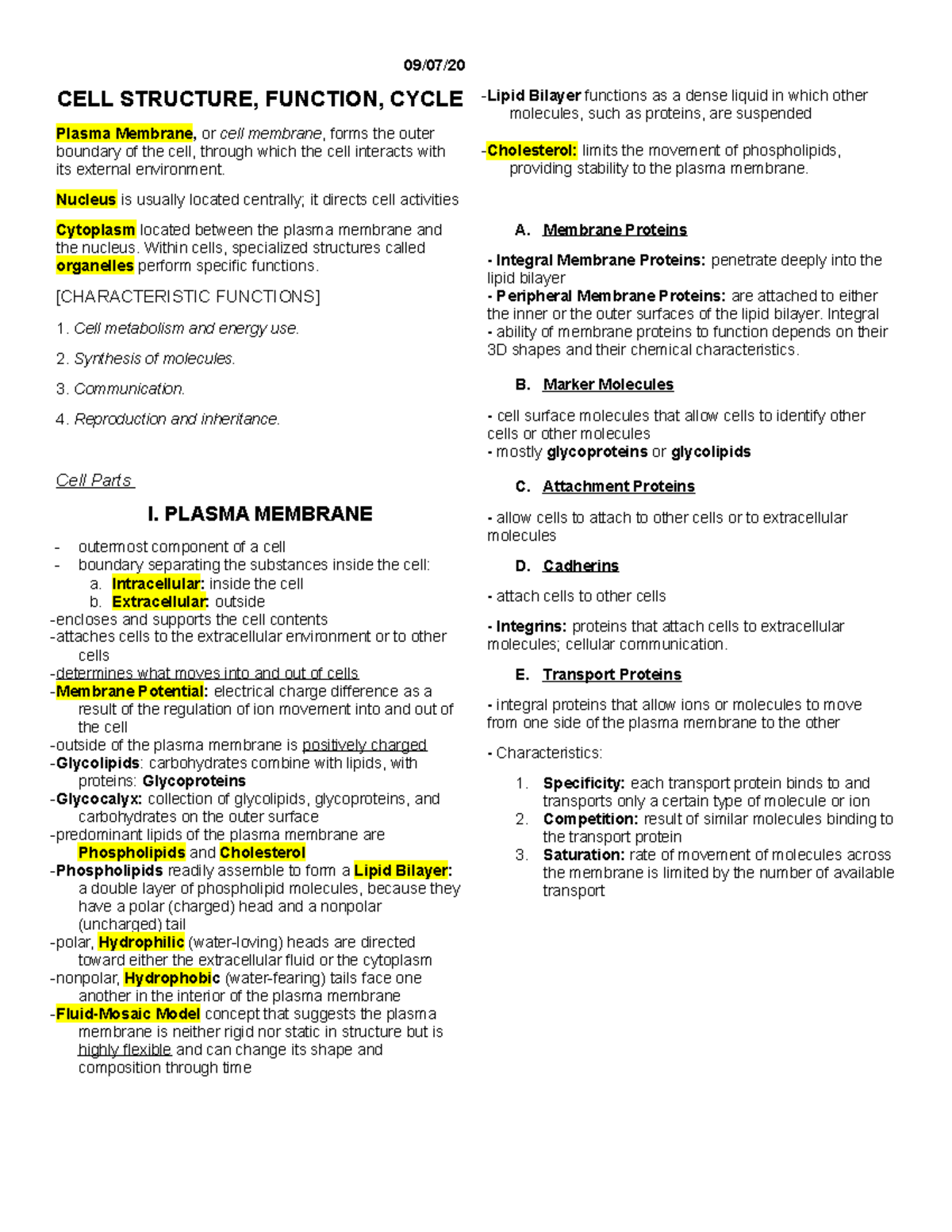 Cell Biology BSMLS 1st Year - 09/07/ CELL STRUCTURE, FUNCTION, CYCLE ...