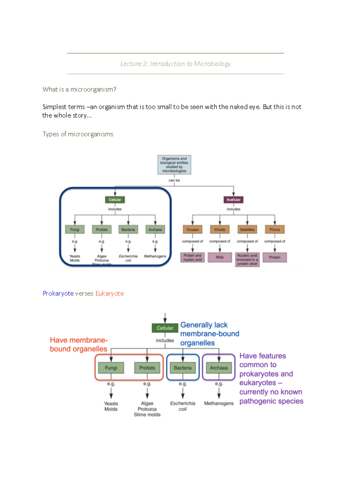 MEDS2004 Lecture notes - Lecture 2: Introduction to Microbiology What ...
