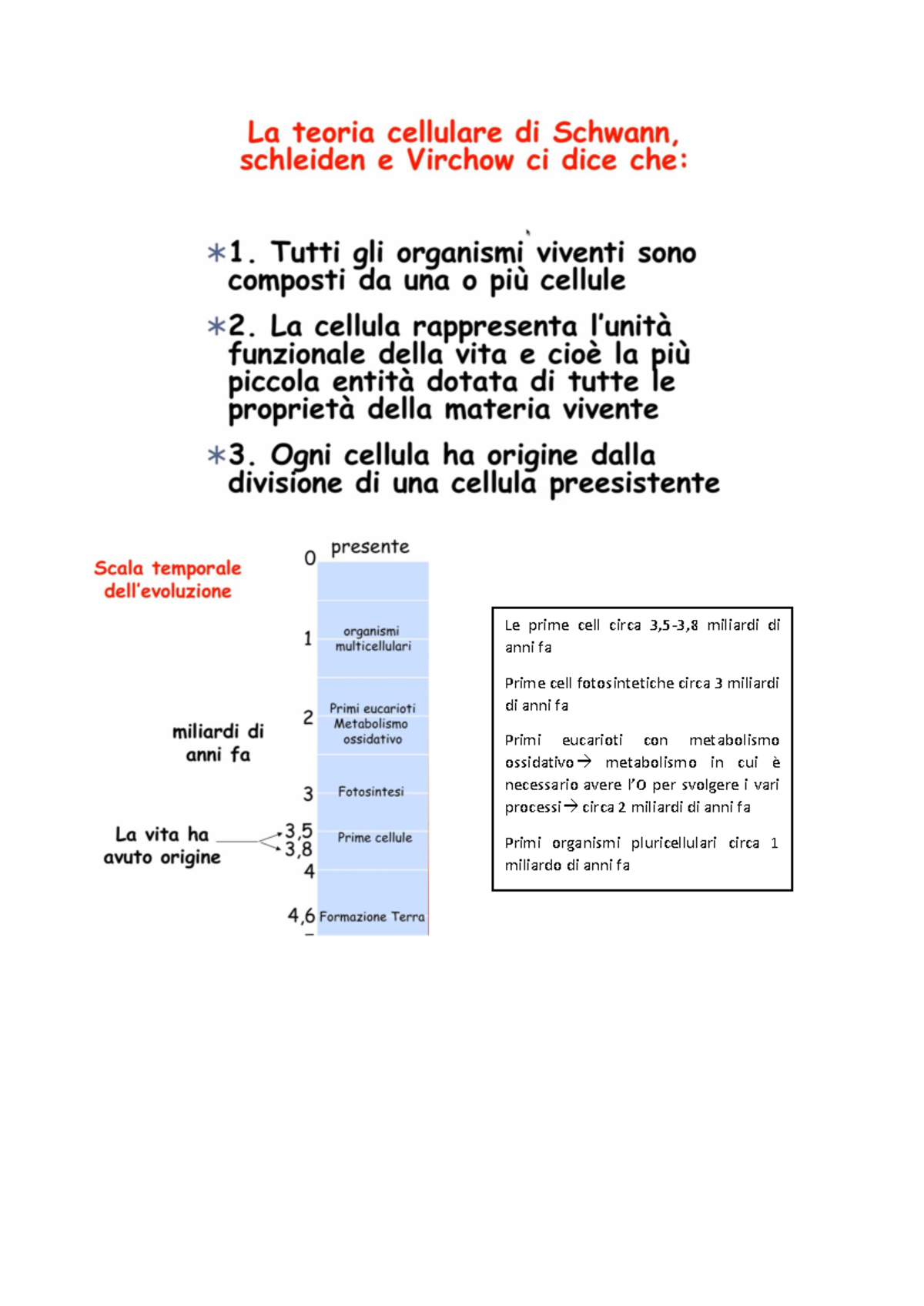 Intro CITO - Riassunto Citologia ed istologia e laboratorio (9 cfu ...