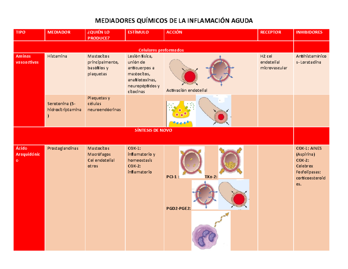 Mediadores químicos de la inflamación aguda - MEDIADORES DE LA AGUDA ...