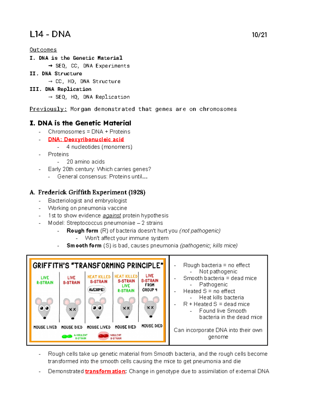 Lecture 14-DNA (genetic material) - L14 - DNA 10/ Outcomes I. DNA is the Genetic Material → SEQ ...