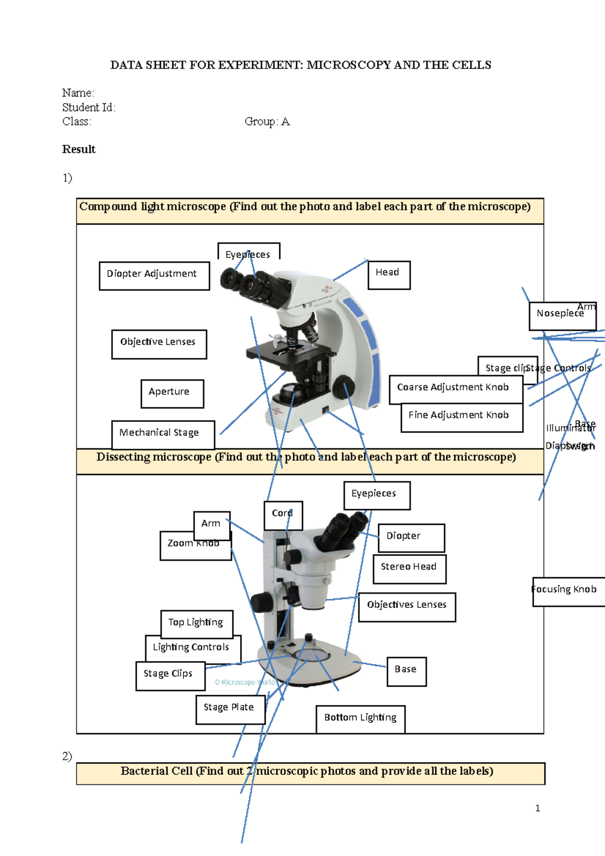 2. DATA Sheet FOR Experiment- Microscopy AND THE Cells - DATA SHEET FOR ...