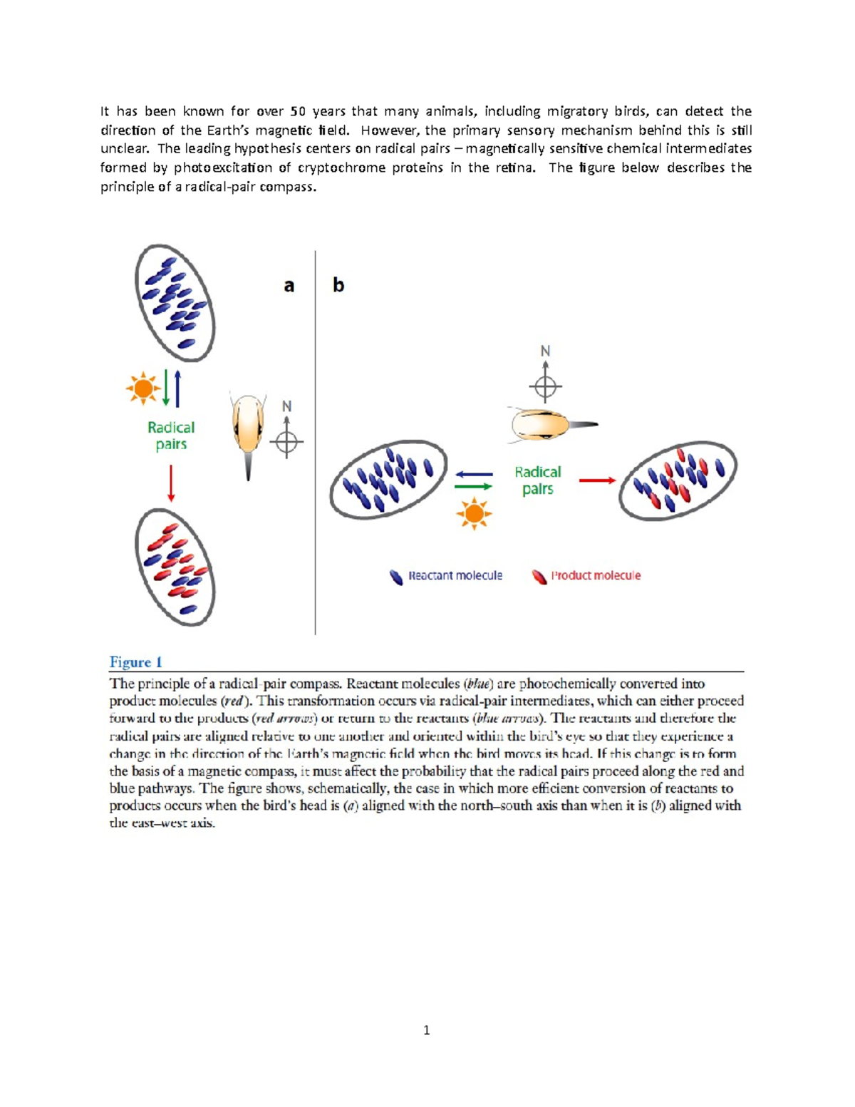 Magnetoreception Assignment - It has been known for over 50 years that ...