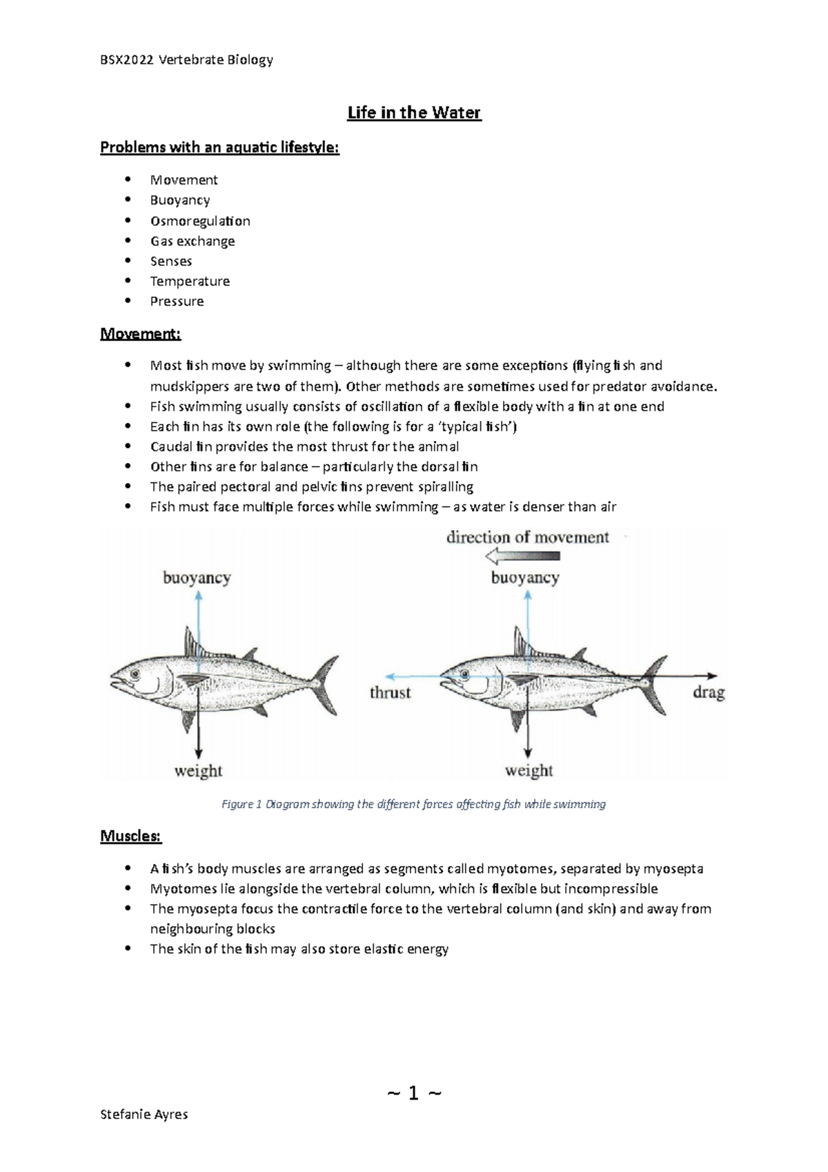 Lesson 3 - Life in the Water - Life in the Water Problems with an ...