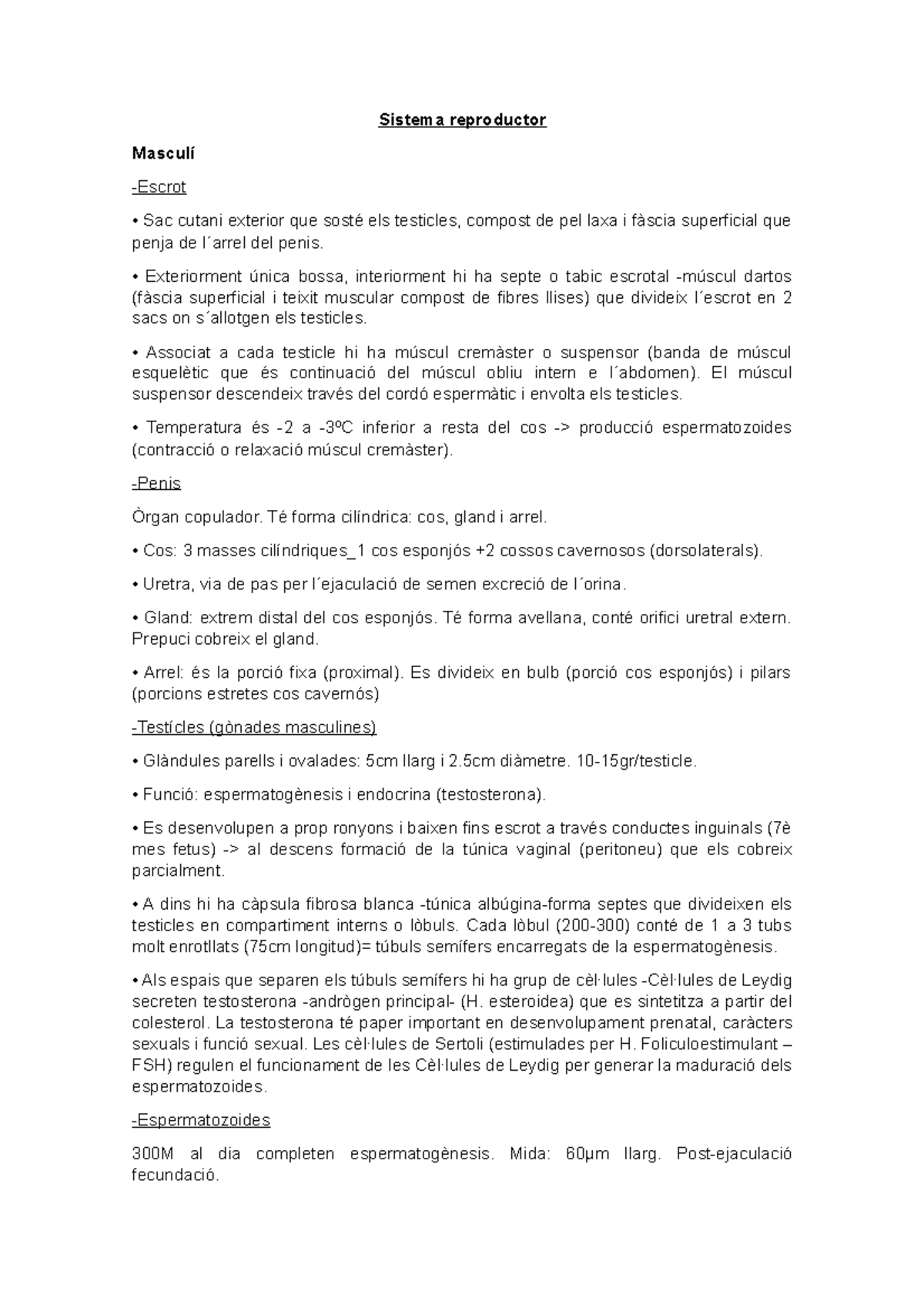 Aparell reproductor - Sistema reproductor Masculí -Escrot Sac cutani ...