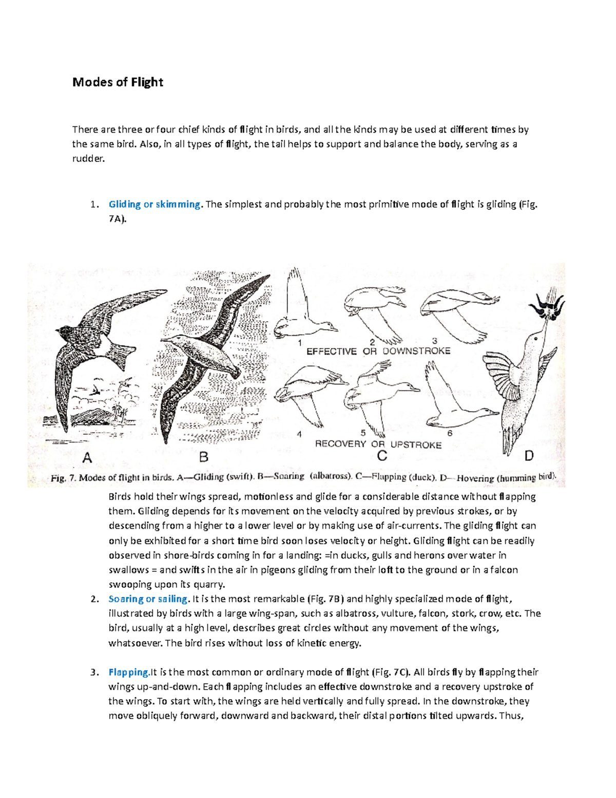 Modes of flight - Modes of Flight There are three or four chief kinds ...
