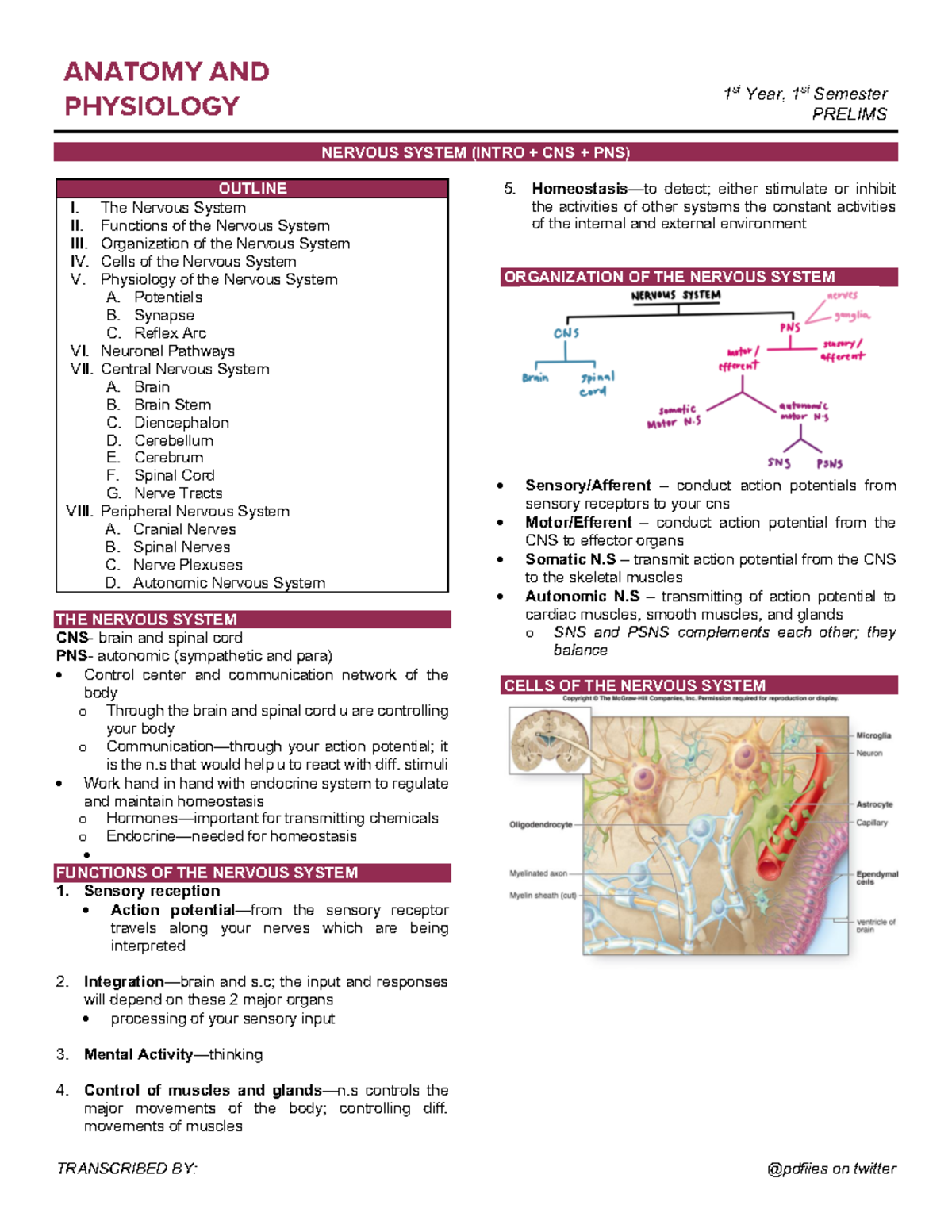 AP05-Nervous System - 1 st Year, 1st Semester PHYSIOLOGY PRELIMS ...