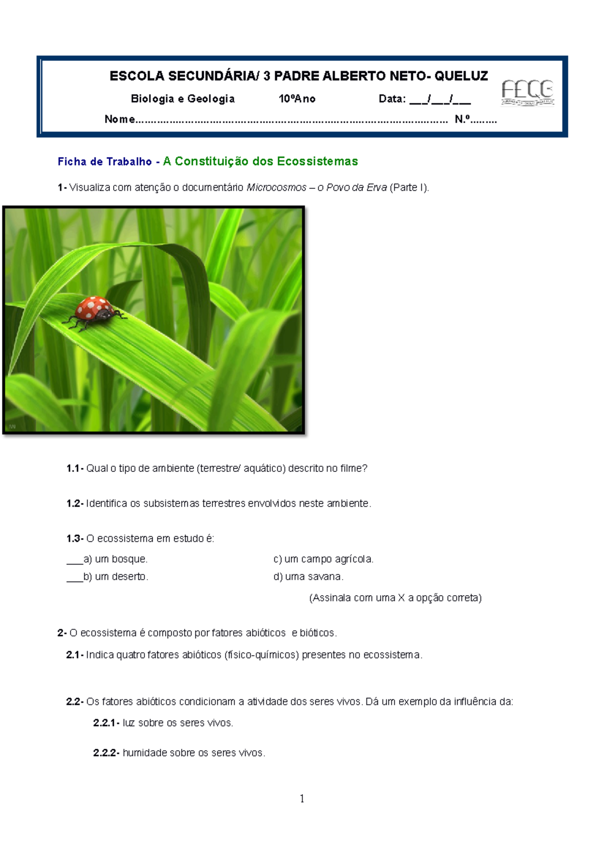 1- Ft - microcosmos - Ficha para praticar - ESCOLA SECUNDÁRIA/ 3 PADRE ...