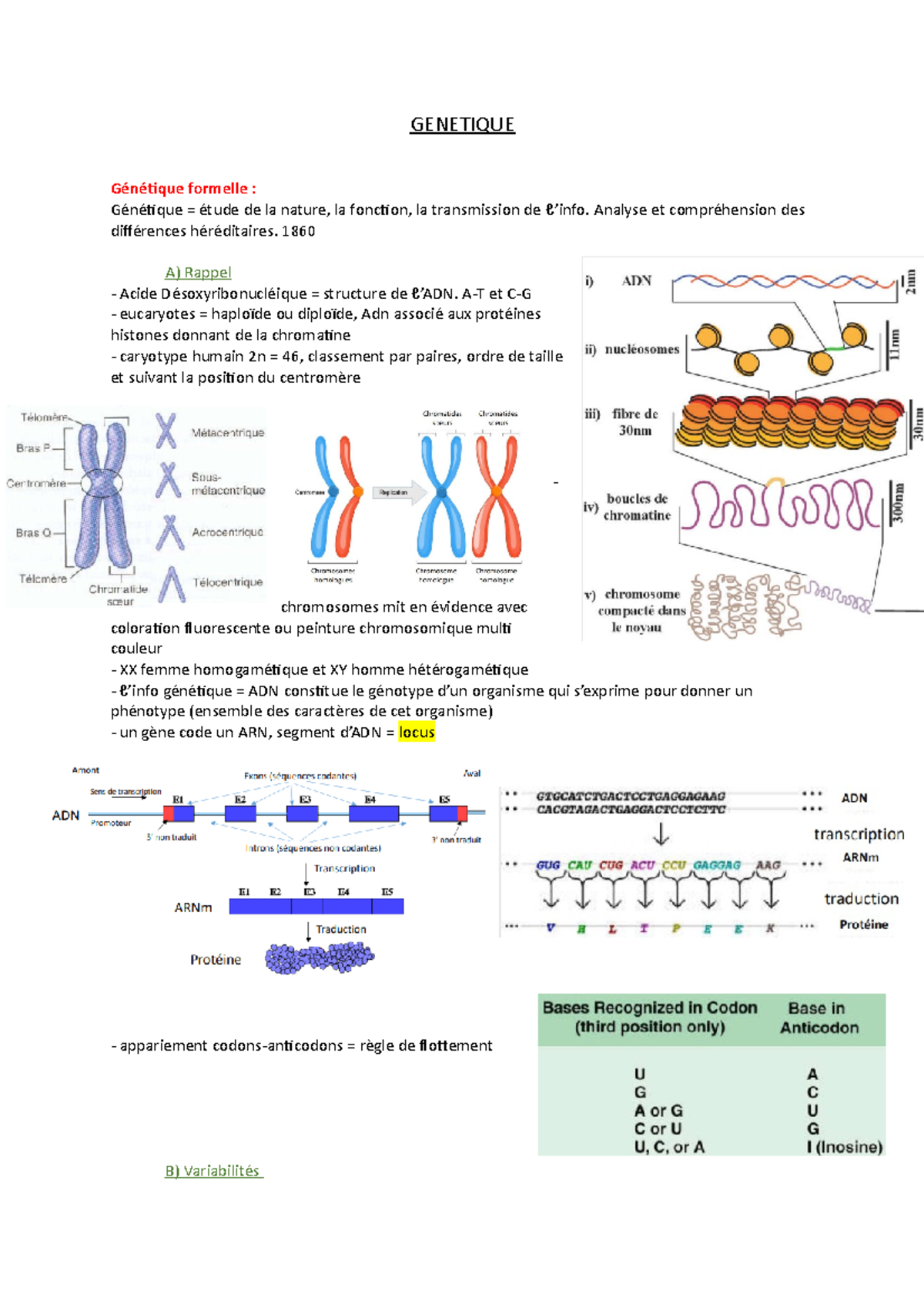 Genetique notes - ... - GENETIQUE Génétique formelle : Génétique ...