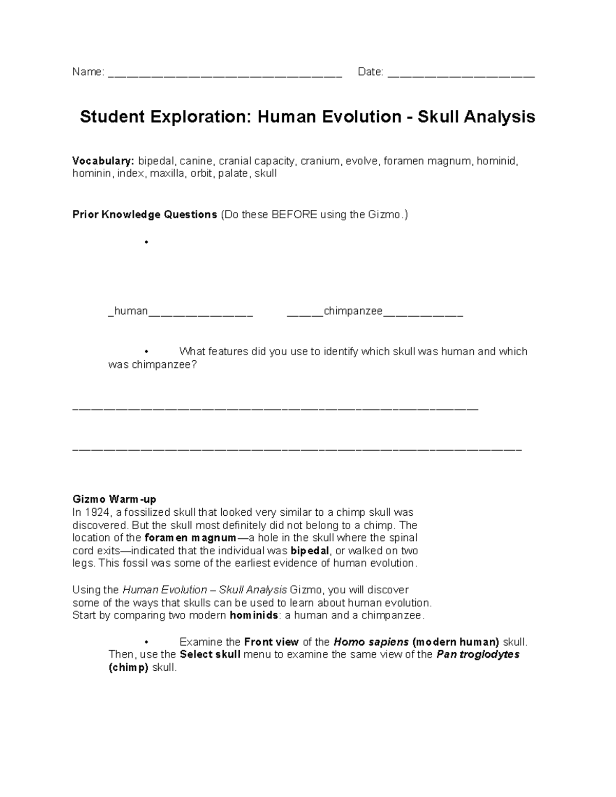 Human Evolution SE-3 - query - Name ...