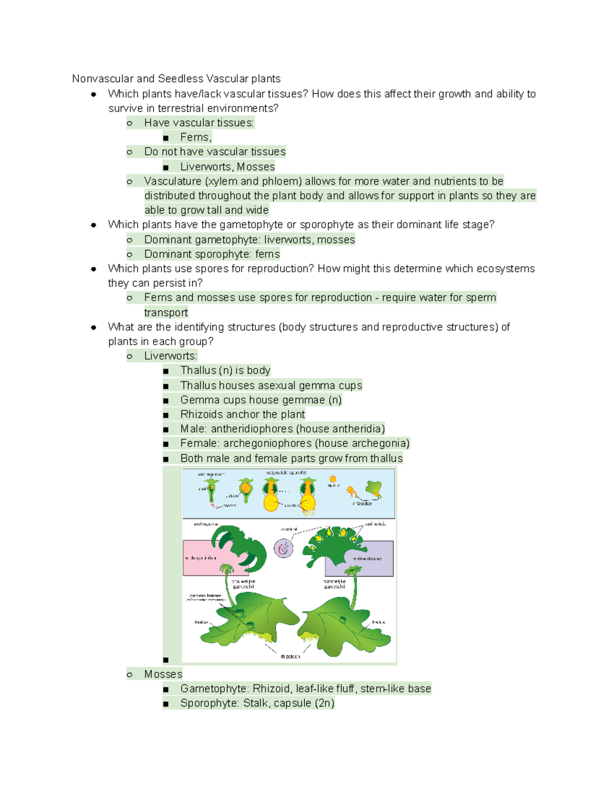 Lab Ex 2 - Lab Exam 2 Study Guide - Nonvascular and Seedless Vascular ...