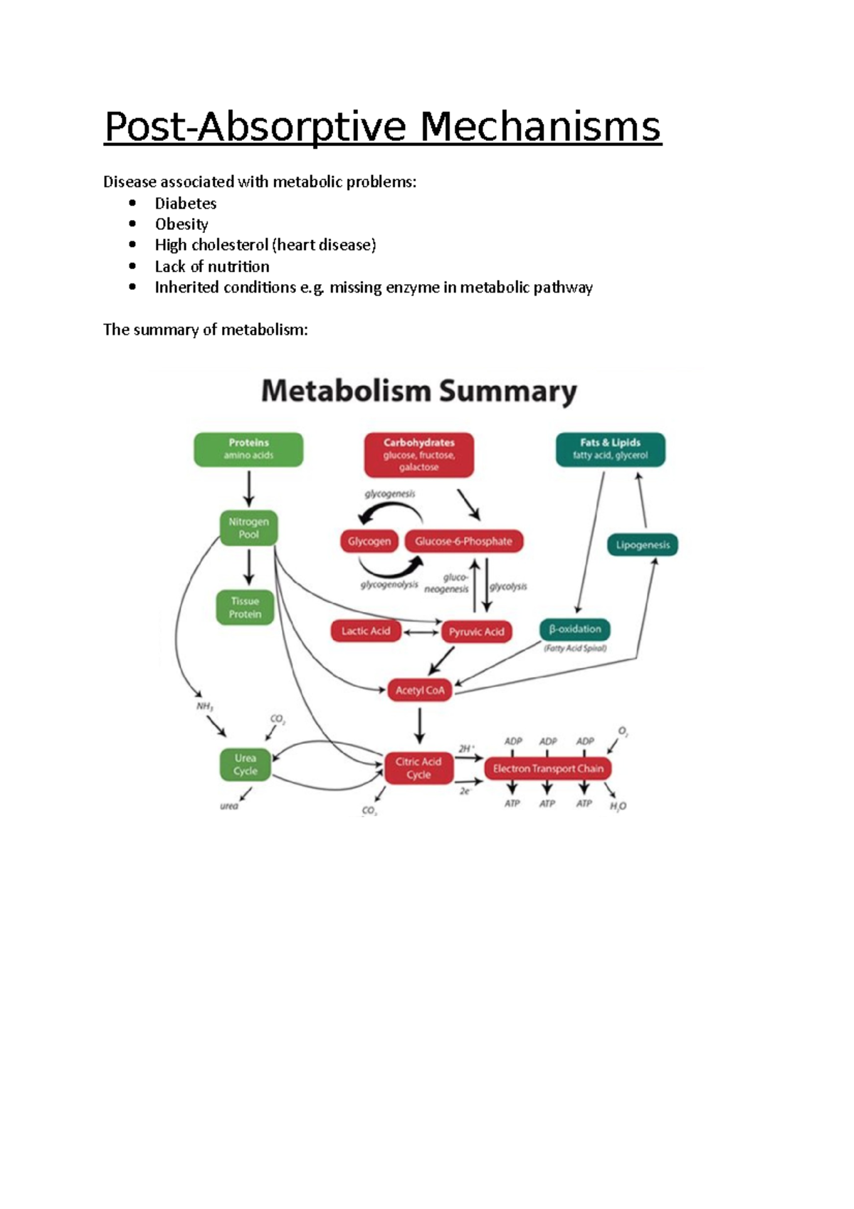 Post absorptive mechanisms - Post-Absorptive Mechanisms Disease ...
