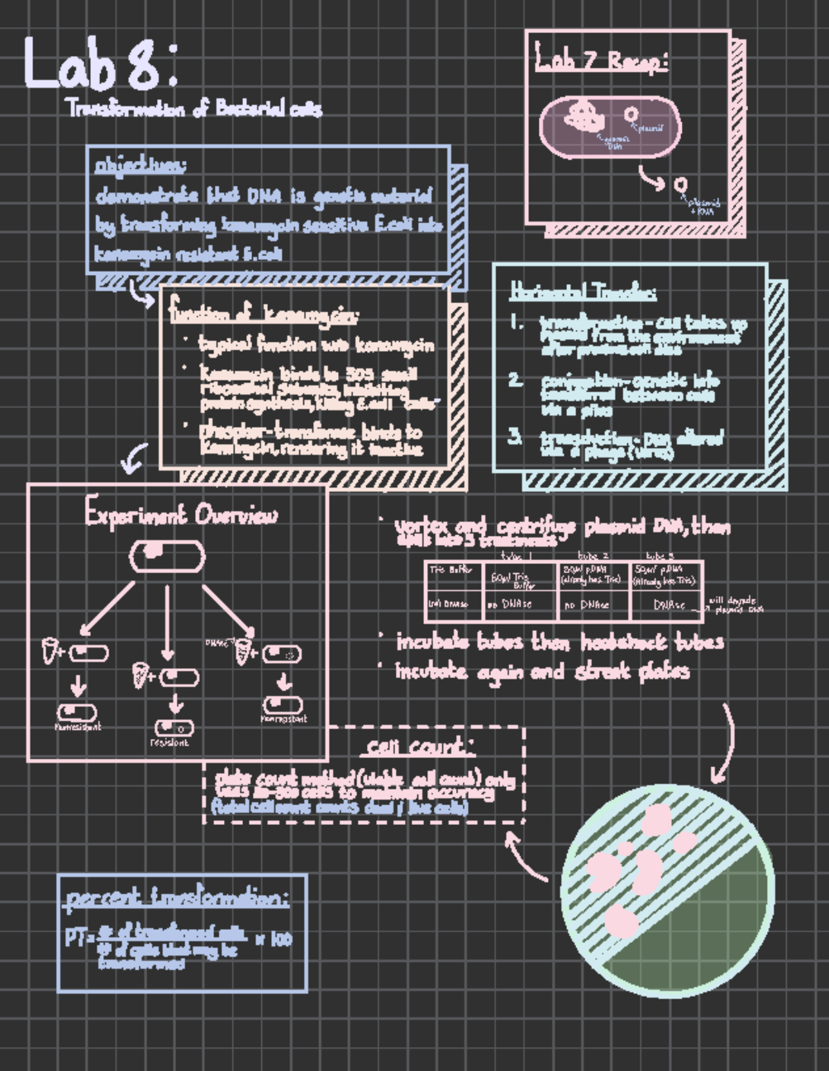 Lab 8 Consolidate Review - Lab 8 : Lab > Recap : Transformation of ...