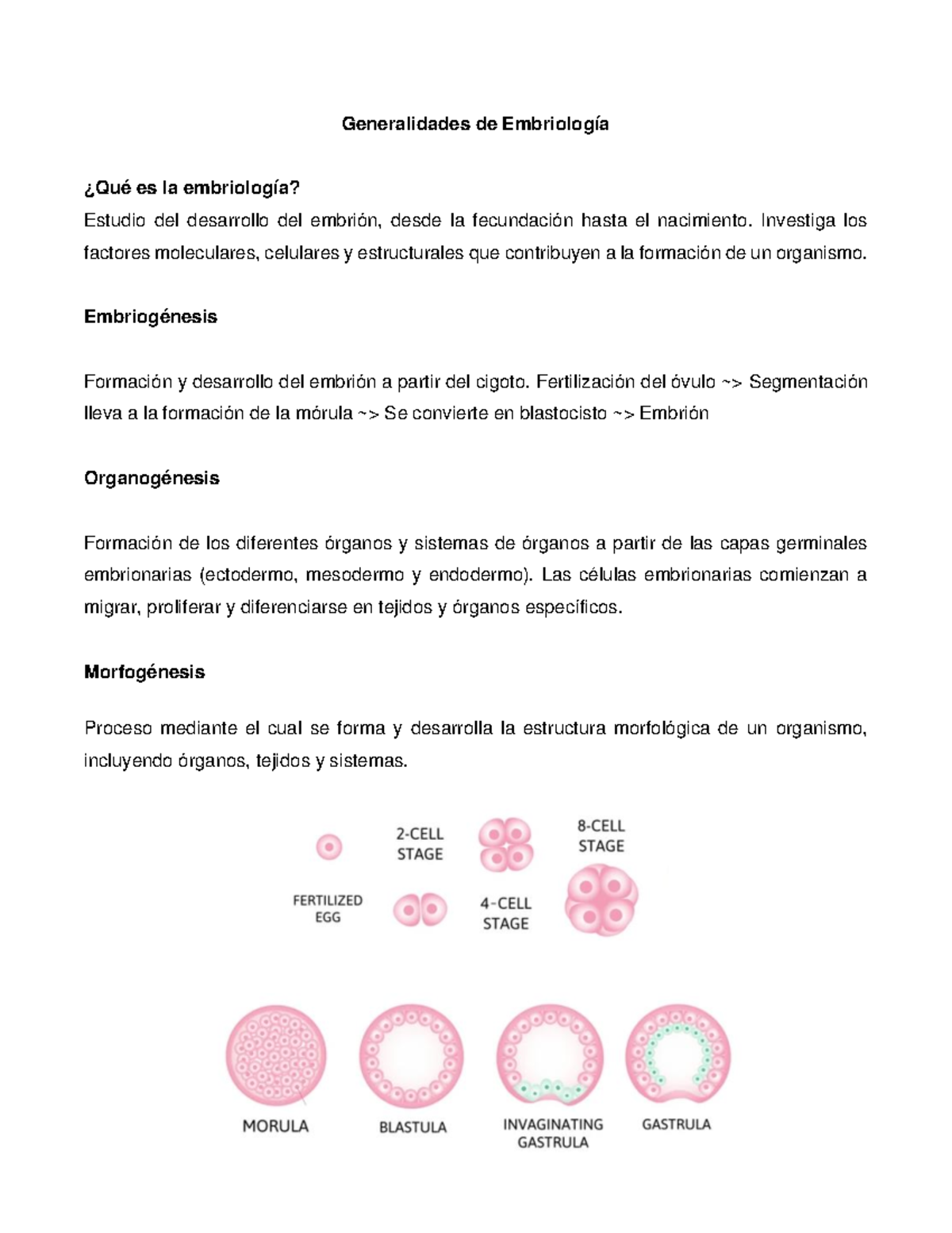 Apuntes - Generalidades de Embriología - Generalidades de Embriología ...